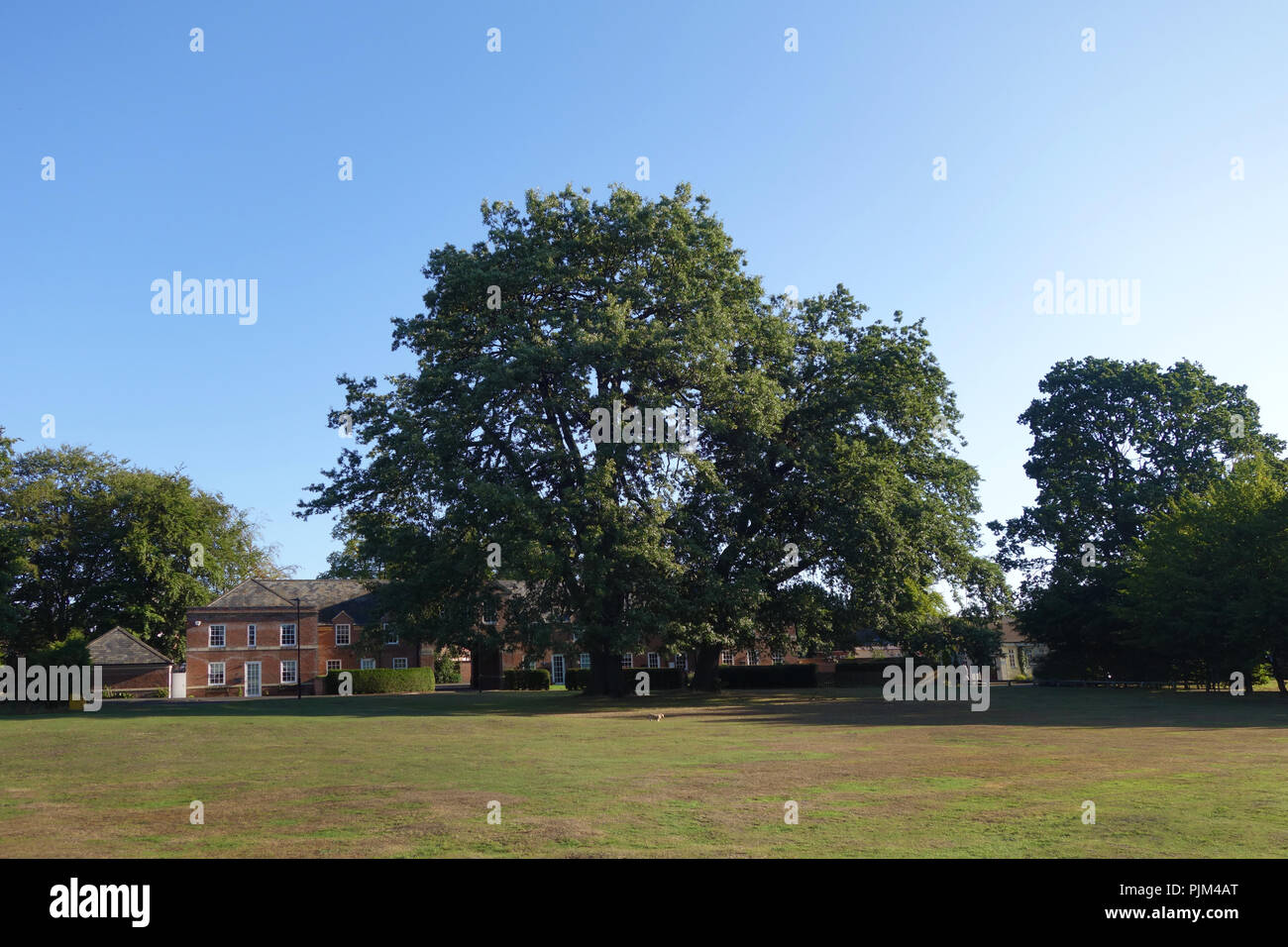 Bawtry hi-res stock photography and images - Alamy