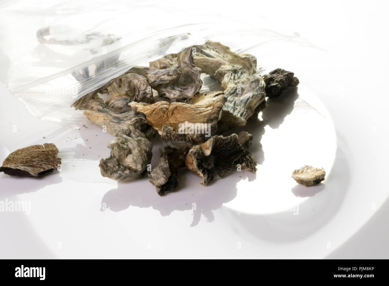 Entheogens hi-res stock photography and images - Alamy