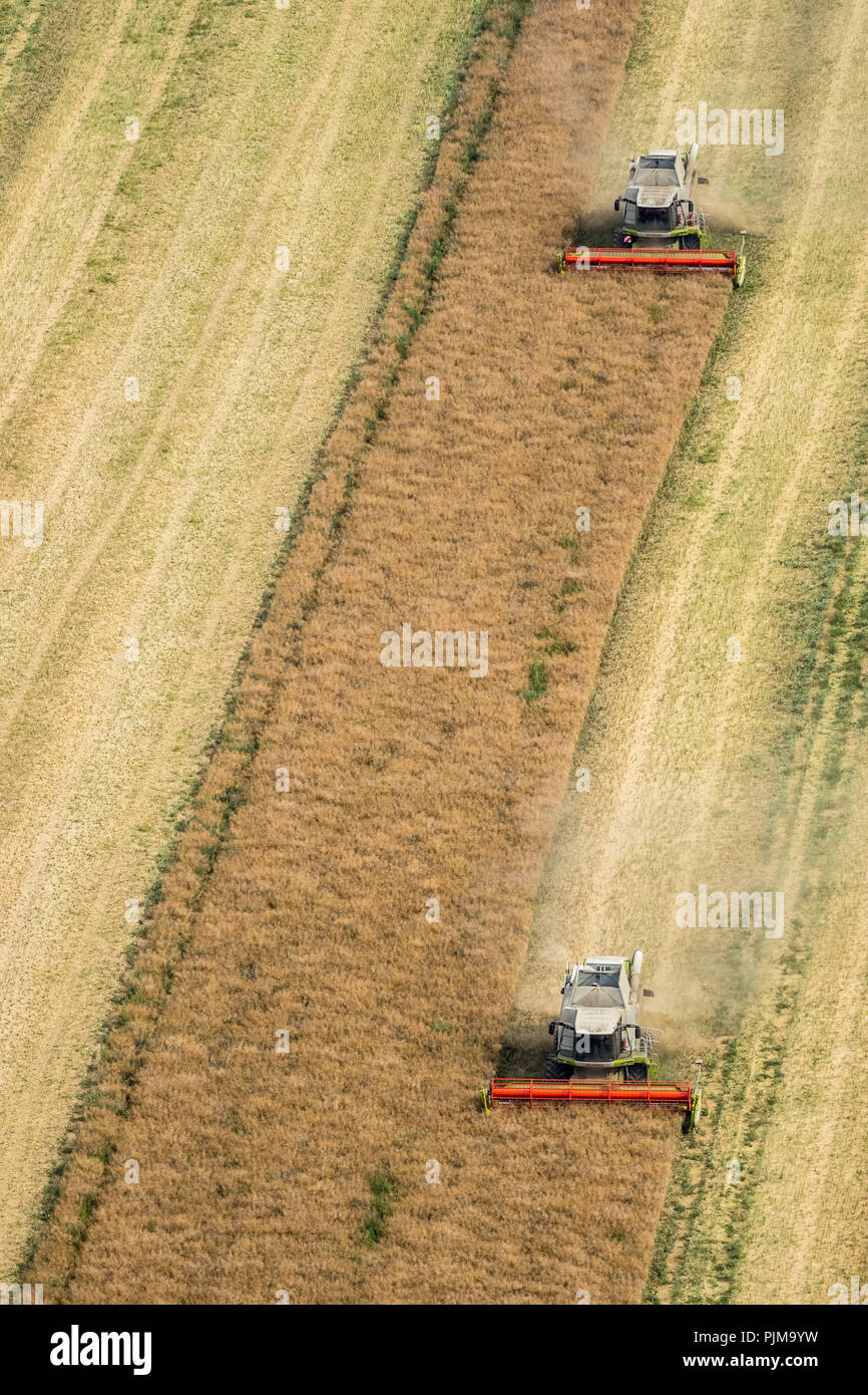 Claas combine harvester during harvest hi-res stock photography and ...