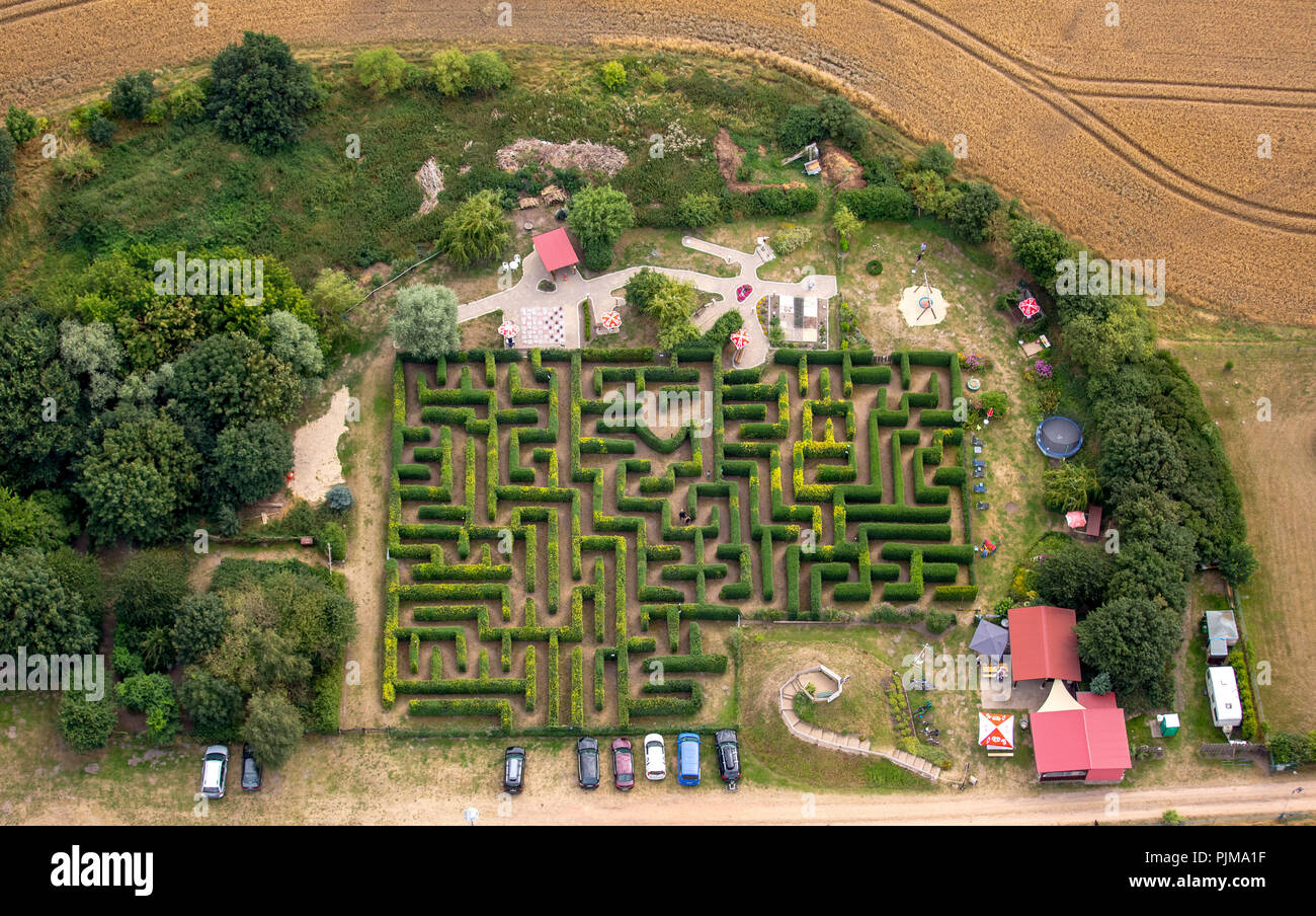 Hedge maze hi-res stock photography and images - Alamy