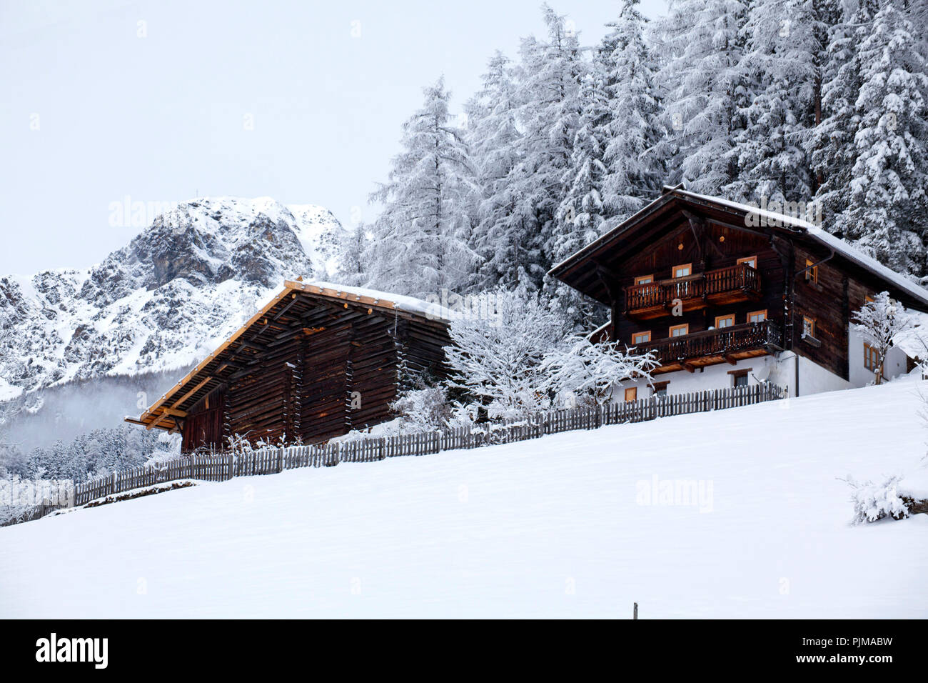 Mountain farm in the South Tyrolean Ultental Stock Photo - Alamy
