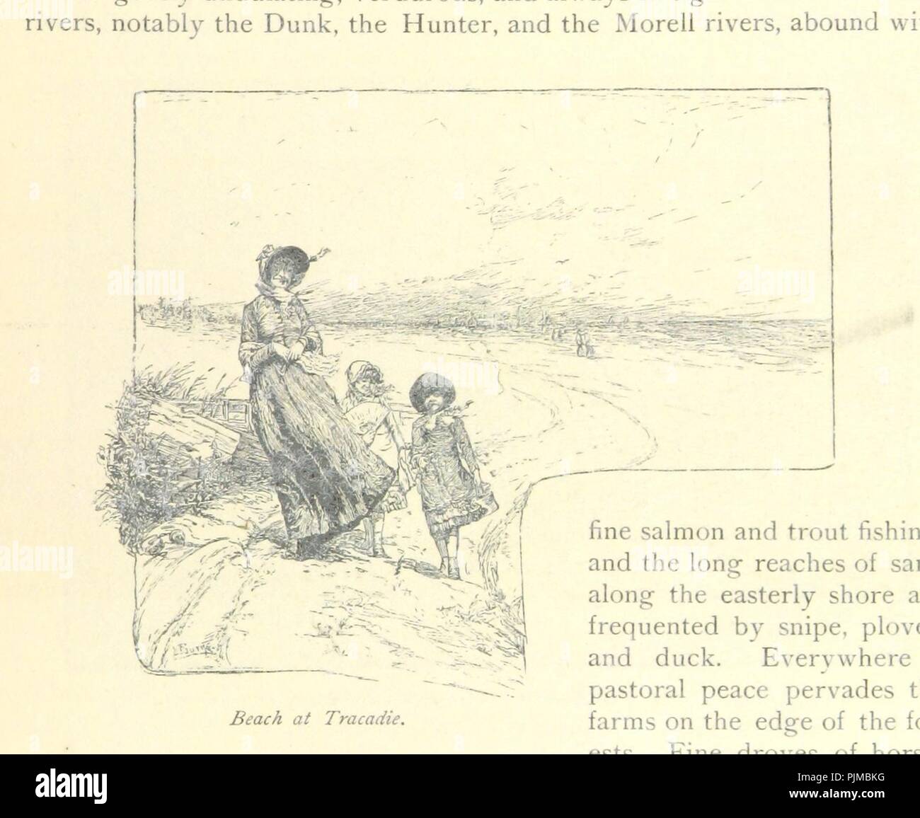 Image from page 15 of 'The Cruise of the Alice May in the Gulf of St ...