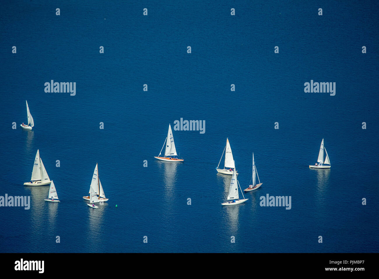 Haus scheppen hi-res stock photography and images - Alamy