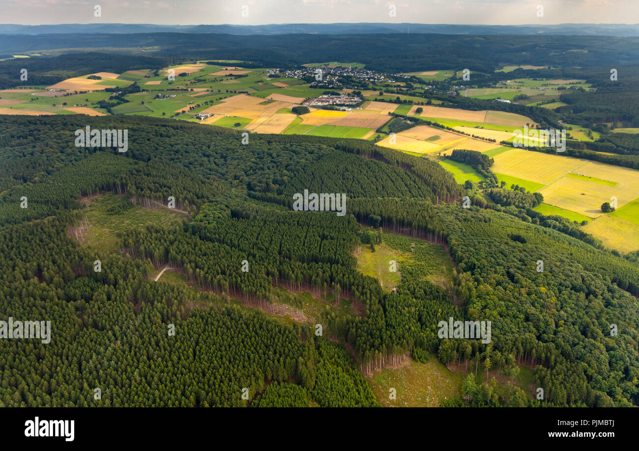 Hirschberg town forest hi-res stock photography and images - Alamy