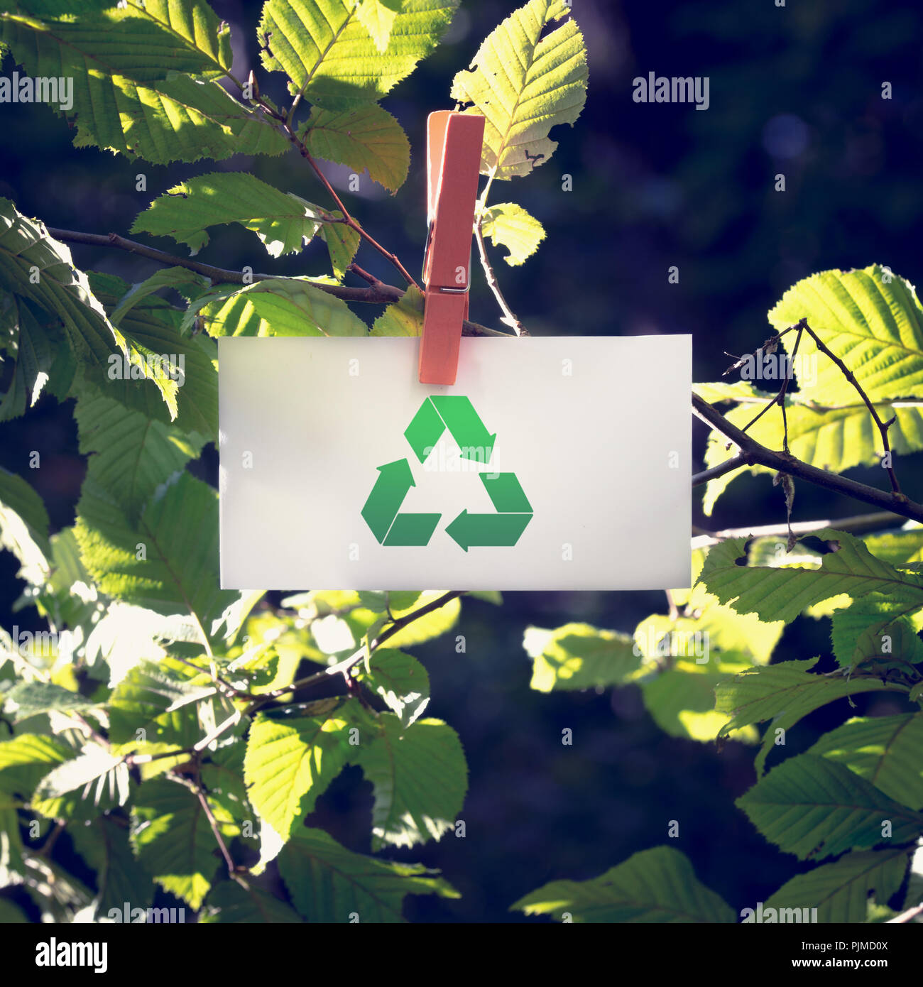Recycle Sign on Small White Paper Hanging at Garden. Surrounded by ...