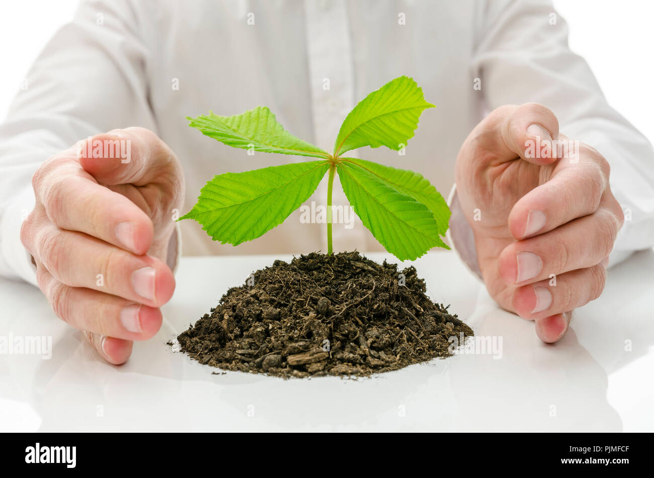 New plant growing from pile of soil with hands around it. Concept of ...