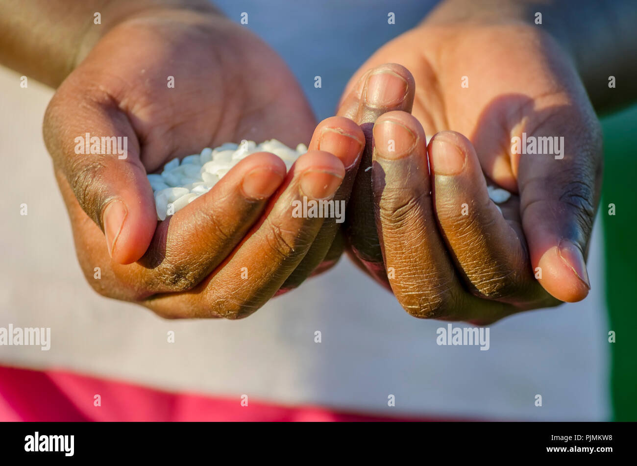 African girl hands holding rice Stock Photo - Alamy