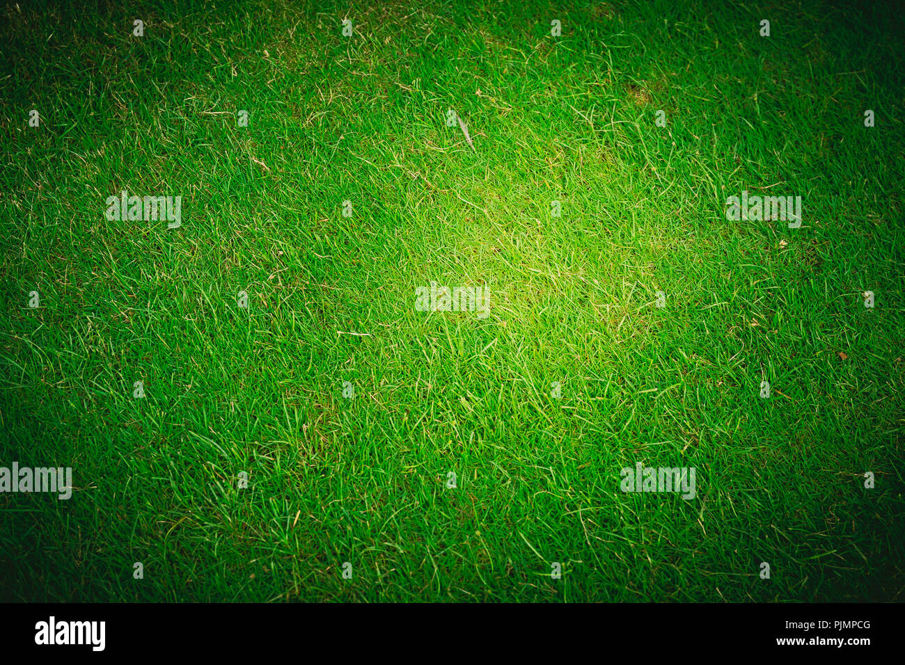 Green Grass texture Background Stock Photo - Alamy