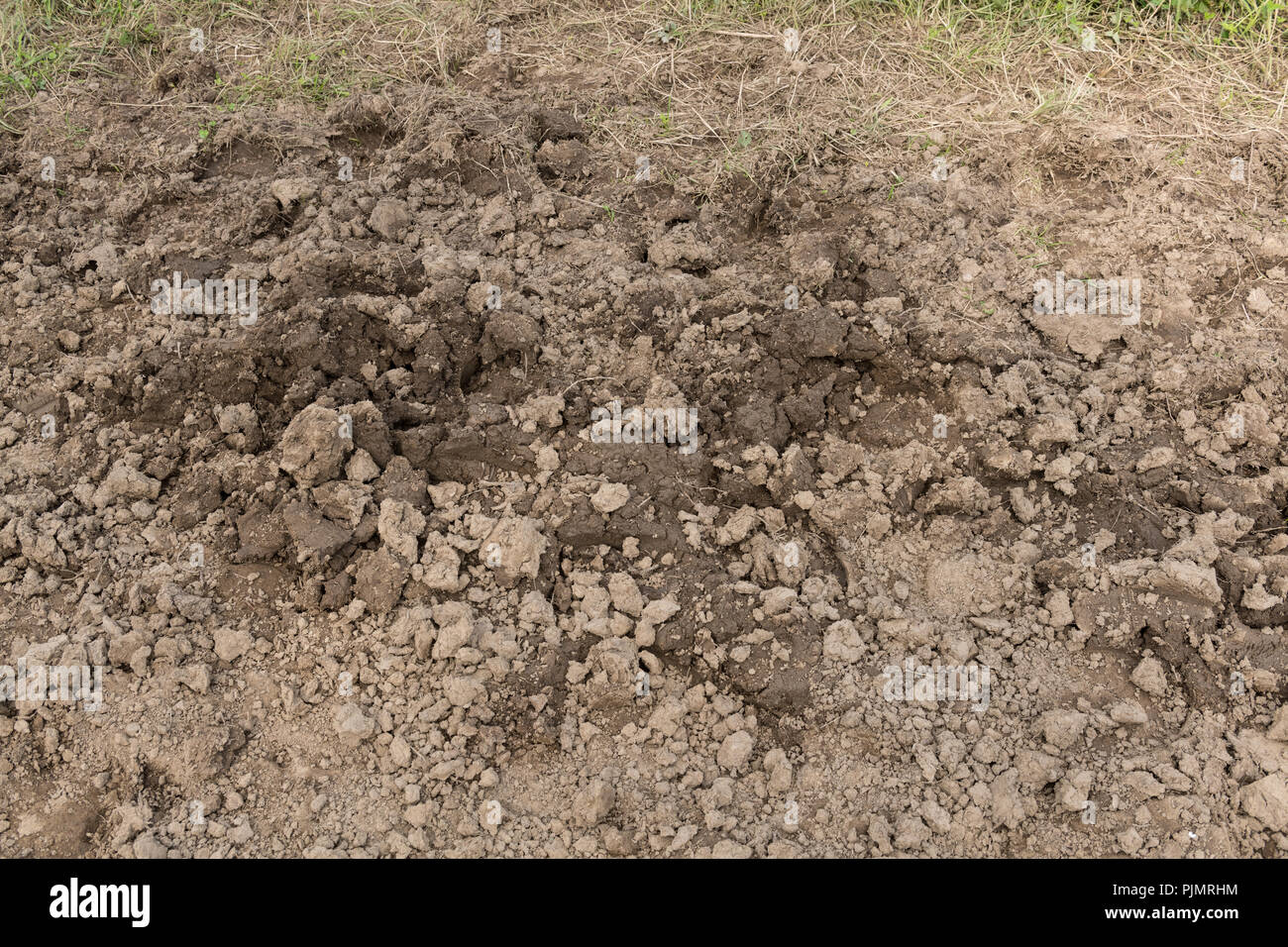 Dirt or soil close-up, environmental texture, pattern Stock Photo - Alamy