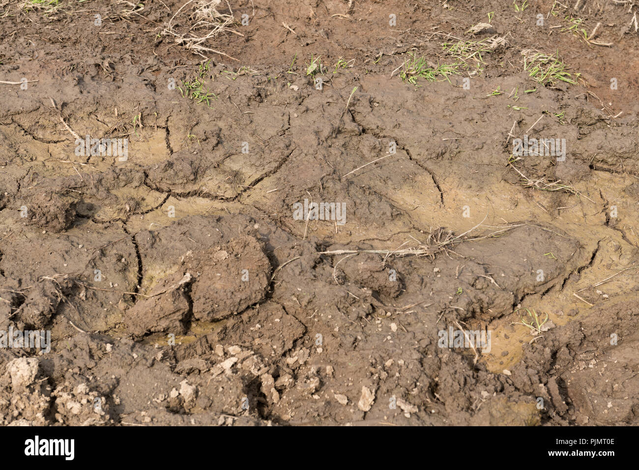Close up soil texture hi-res stock photography and images - Alamy