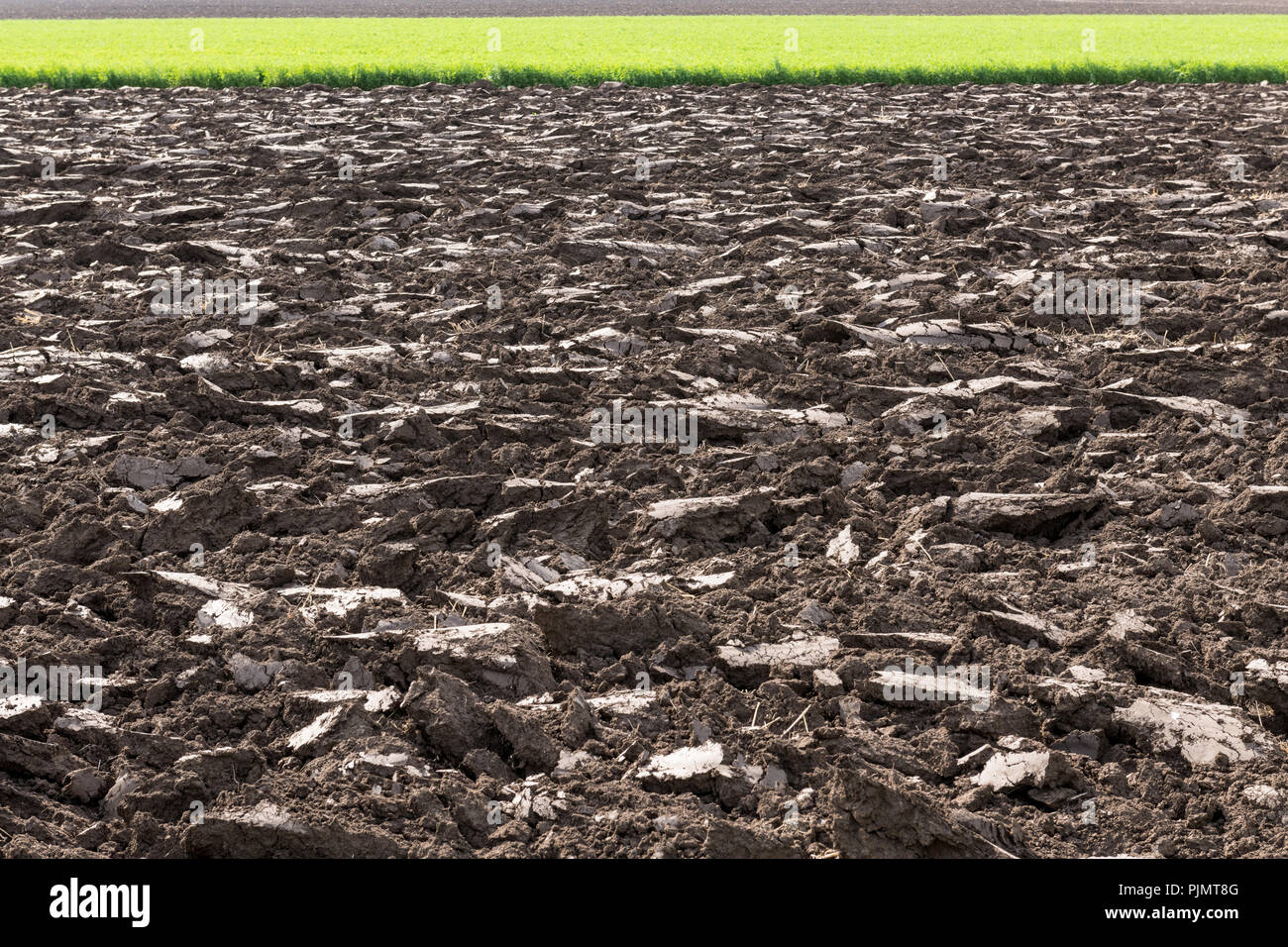 Preparation of soil hi-res stock photography and images - Alamy