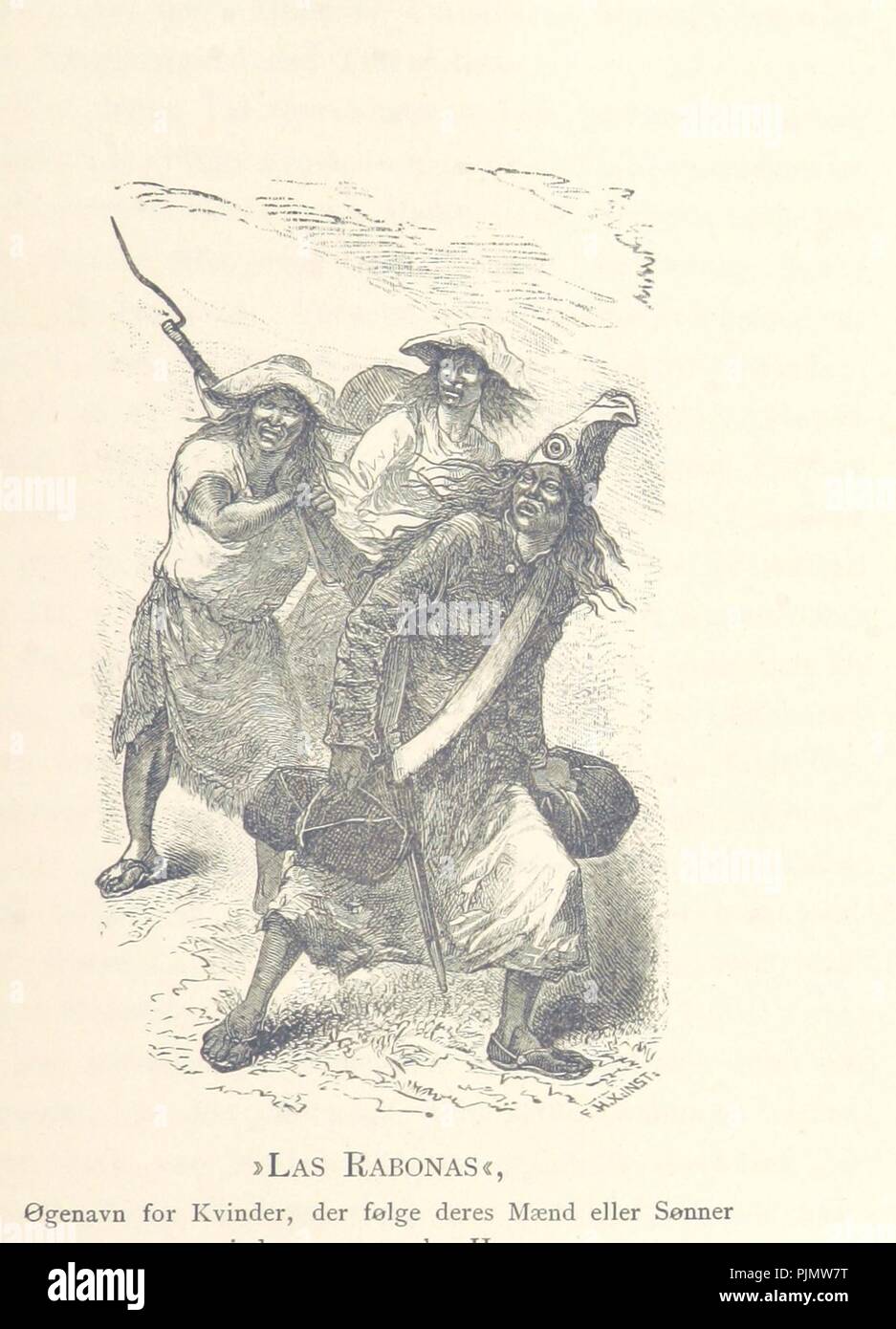 Image from page 169 of 'Krigen paa det stille Oceans Kyst . Chile mod ...