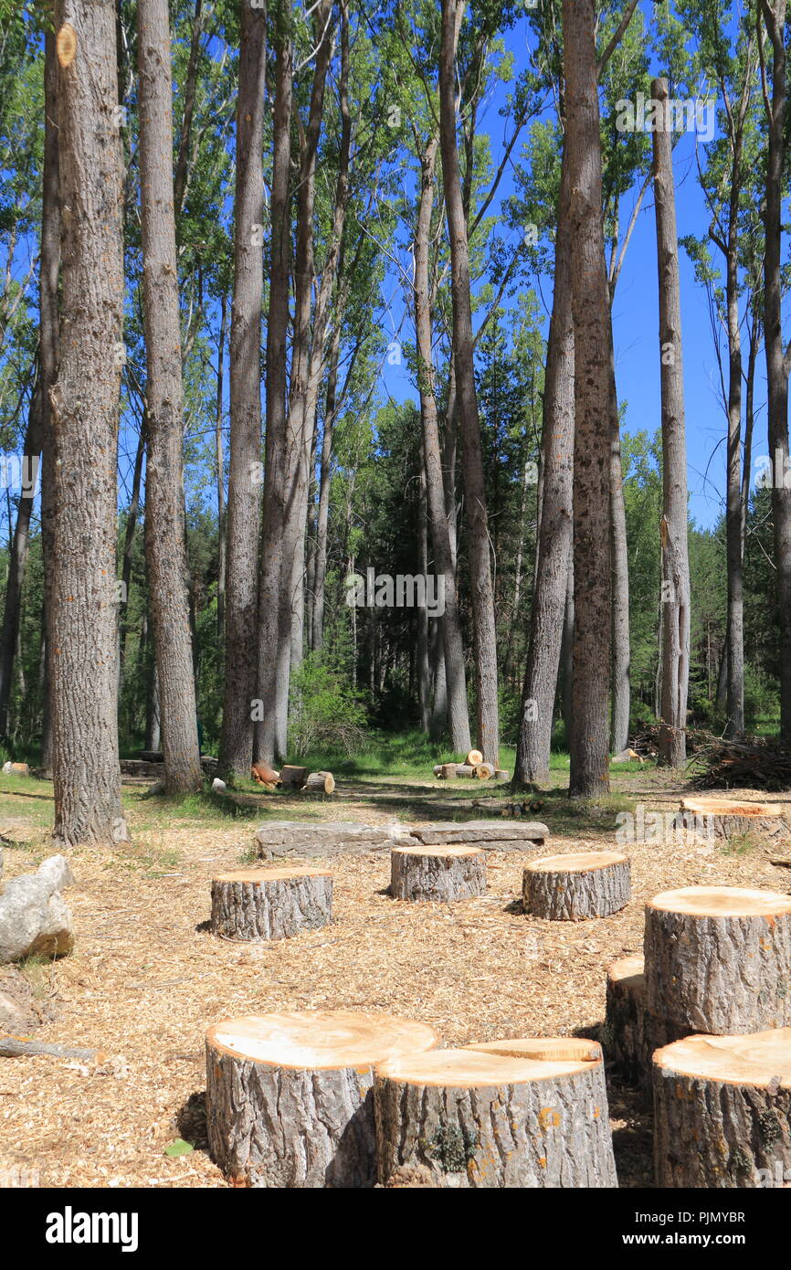 Deforestation prevention hi-res stock photography and images - Alamy