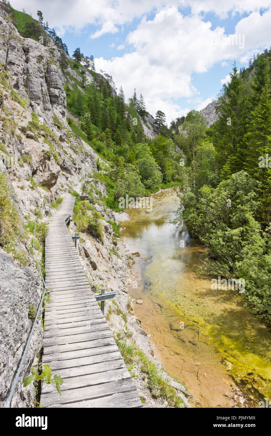 Wooden footbridge hiking trail along a clear mountain stream through ...