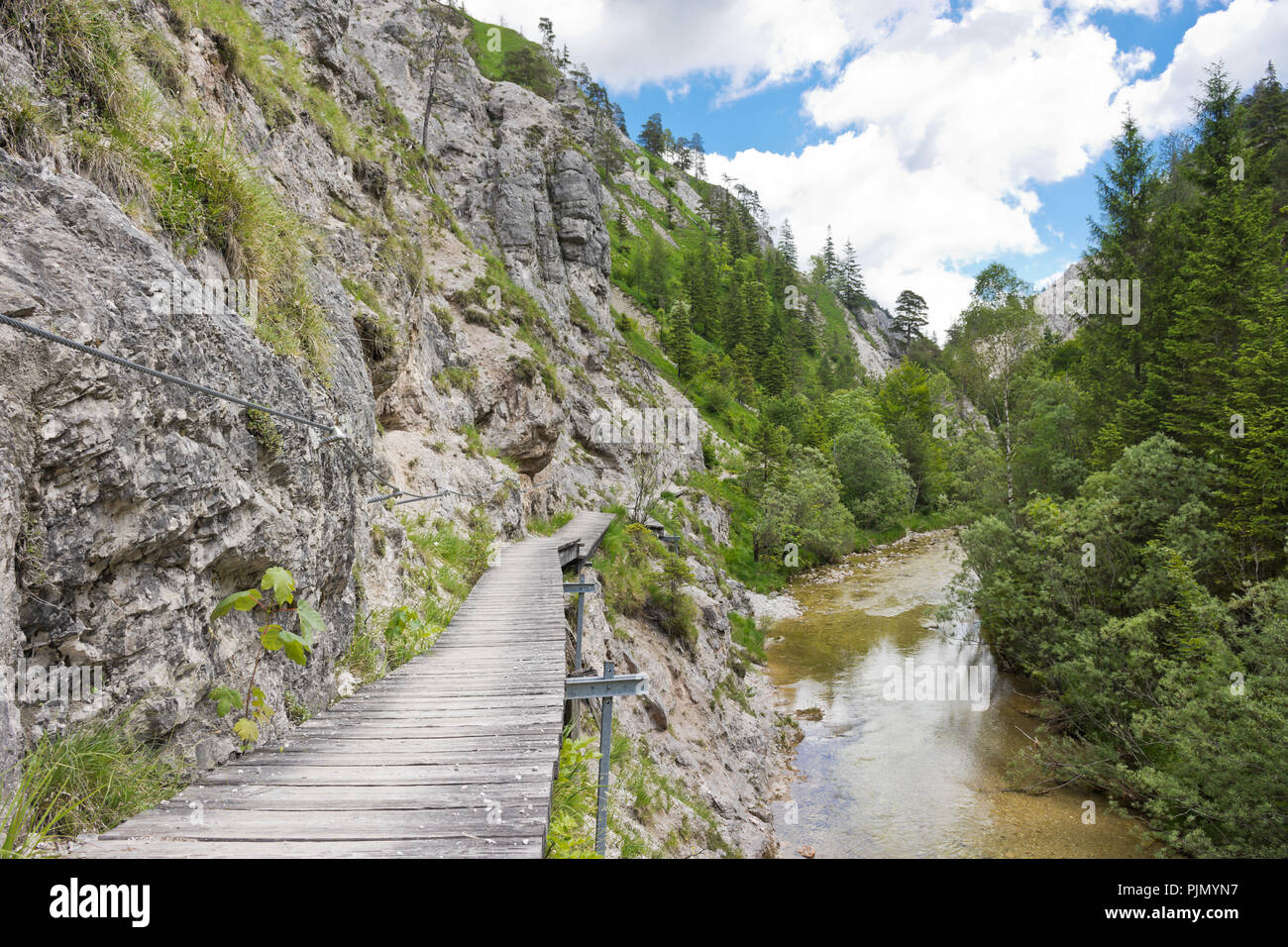 Wooden footbridge hiking trail along a clear mountain stream through ...