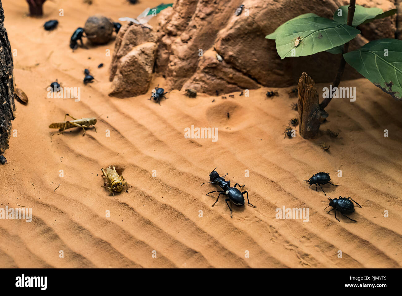 7 JUNE 2018, MILAN, ITALY: Museum of Natural History in Milan ...