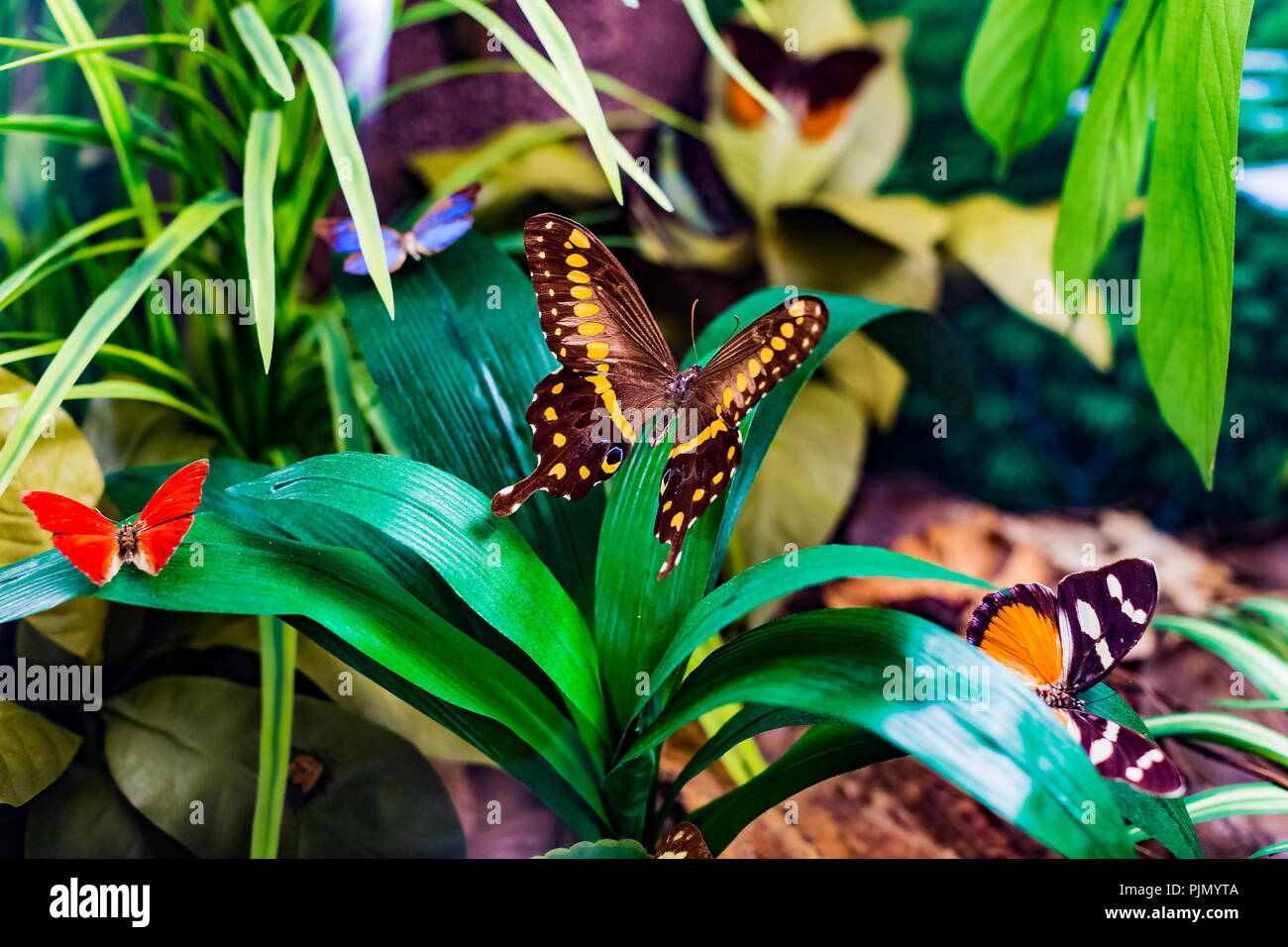 7 JUNE 2018, MILAN, ITALY: Museum of Natural History in Milan ...