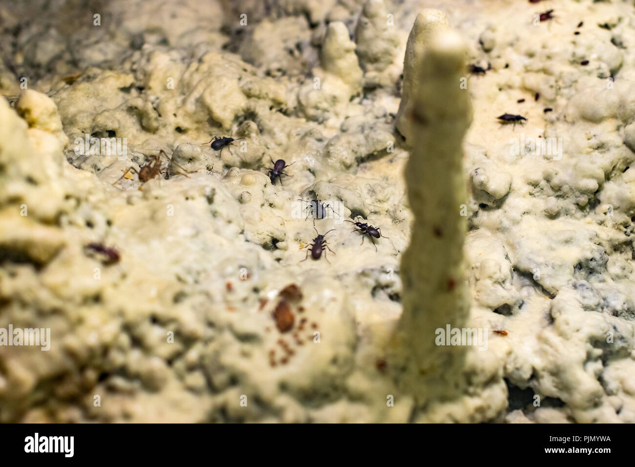 7 JUNE 2018, MILAN, ITALY: Museum of Natural History in Milan ...