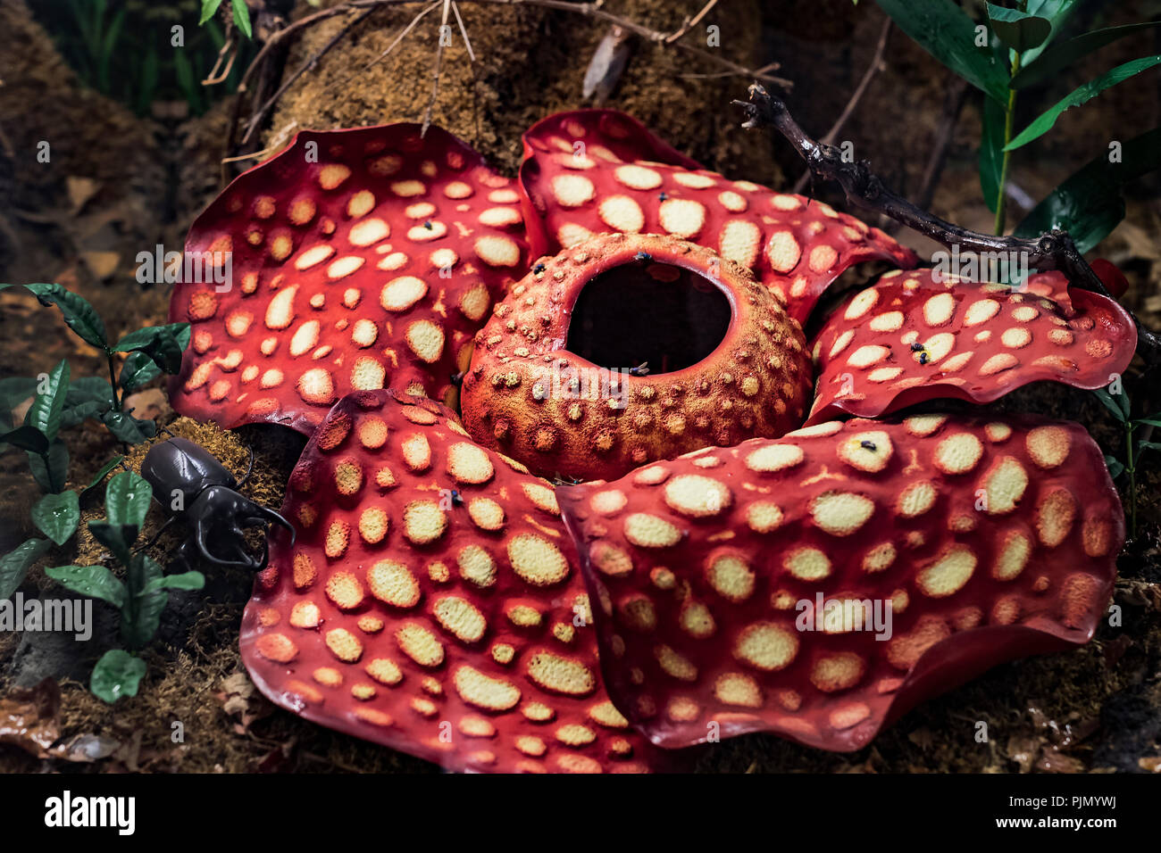 7 JUNE 2018, MILAN, ITALY: Museum of Natural History in Milan ...
