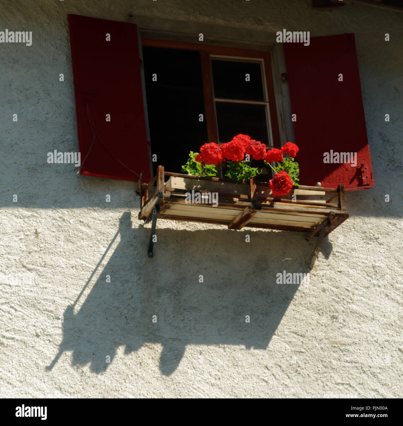 Geraniums in window box with shutters, Splügen, Swiss Alps Stock Photo ...