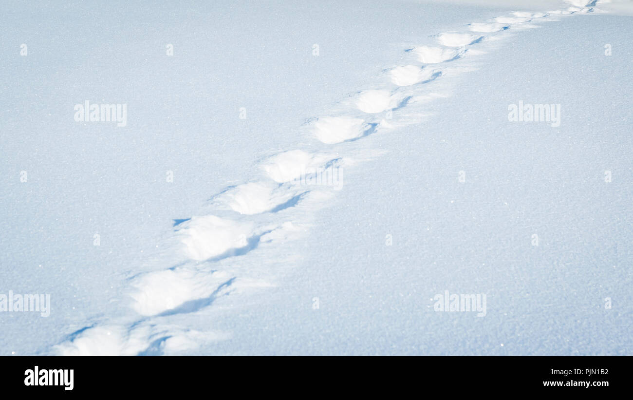 Shadow of a human foot hi-res stock photography and images - Alamy