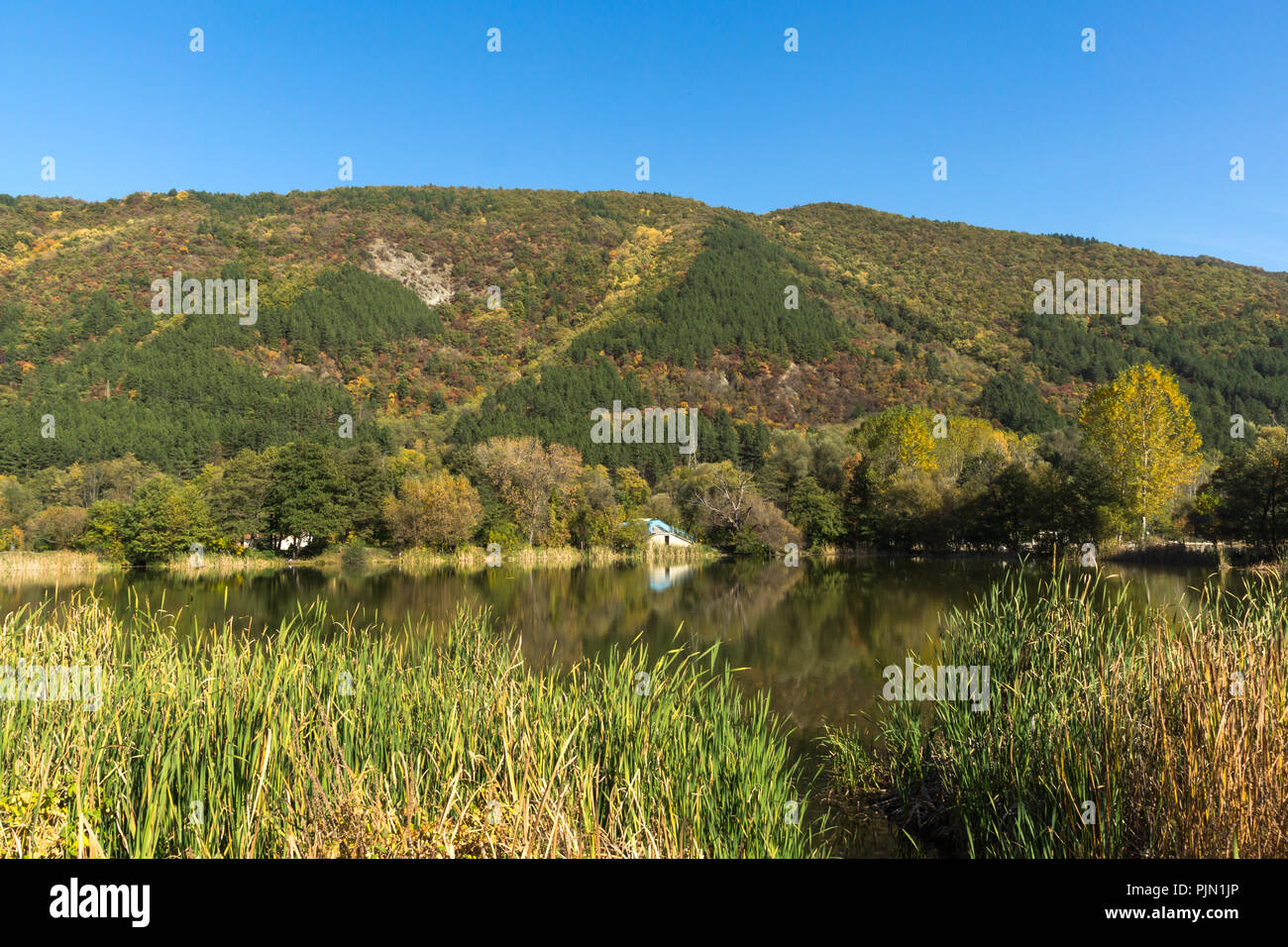 Autumn of Pancharevo lake, Sofia city Region, Bulgaria Stock Photo - Alamy