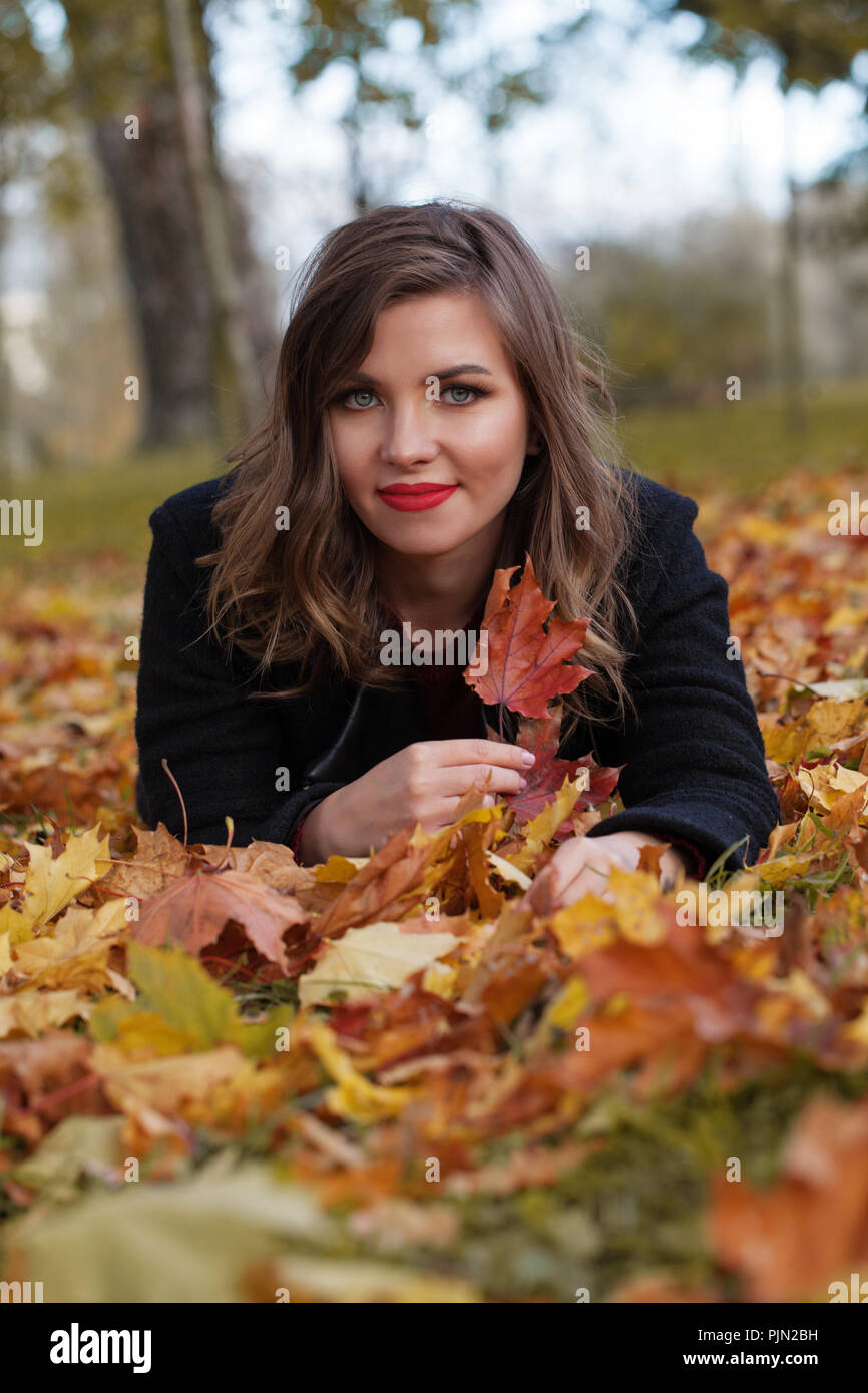 Fall leaves background hi-res stock photography and images - Alamy