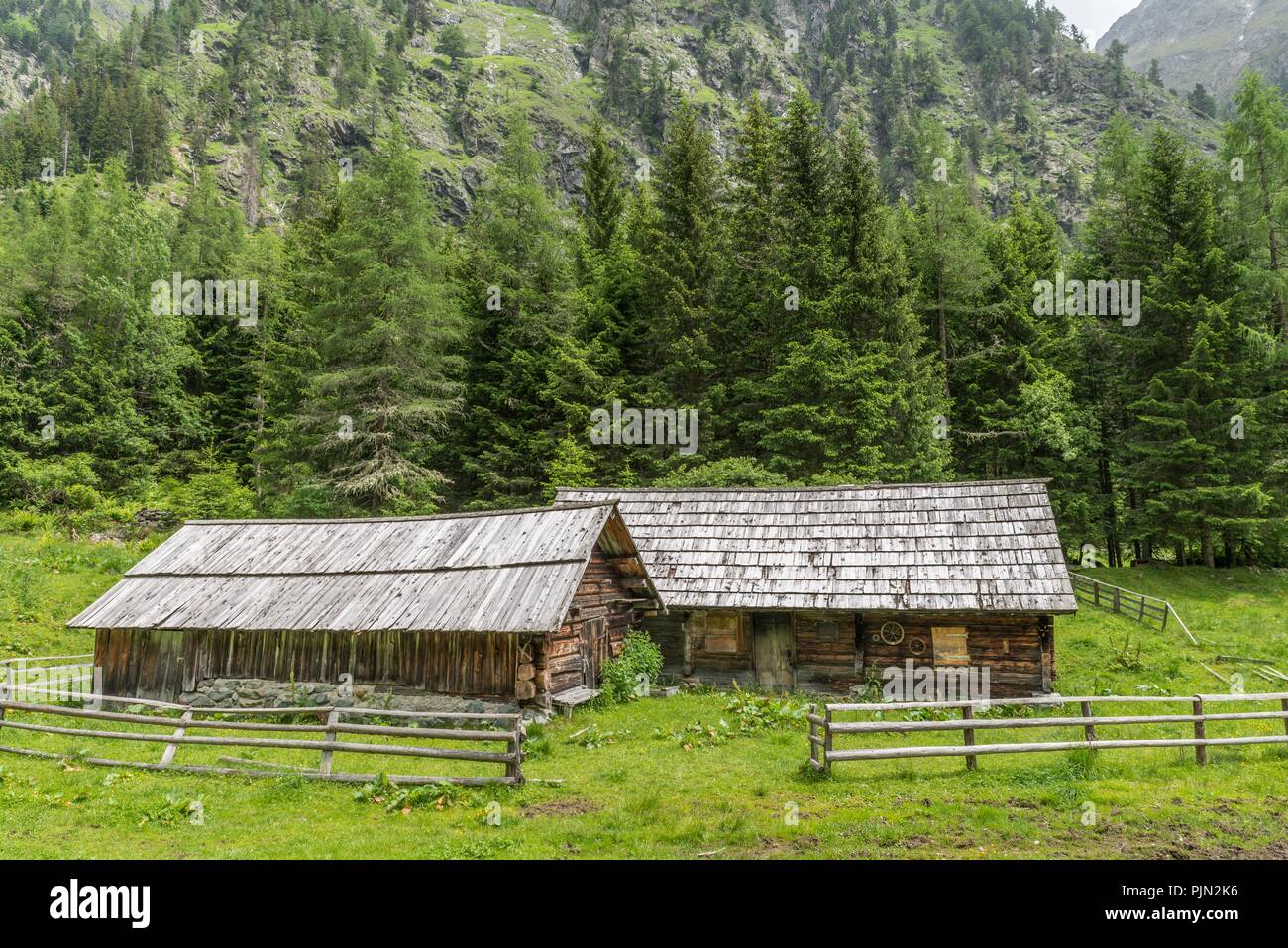 Wooden alpine cabin with shingle roof, Austria Stock Photo - Alamy
