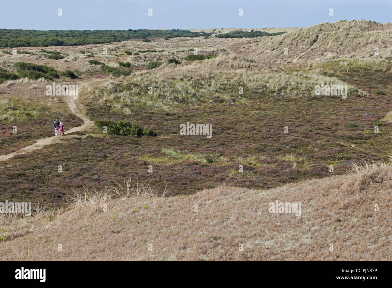 Winterton Dunes NNR Norfolk UK Stock Photo - Alamy