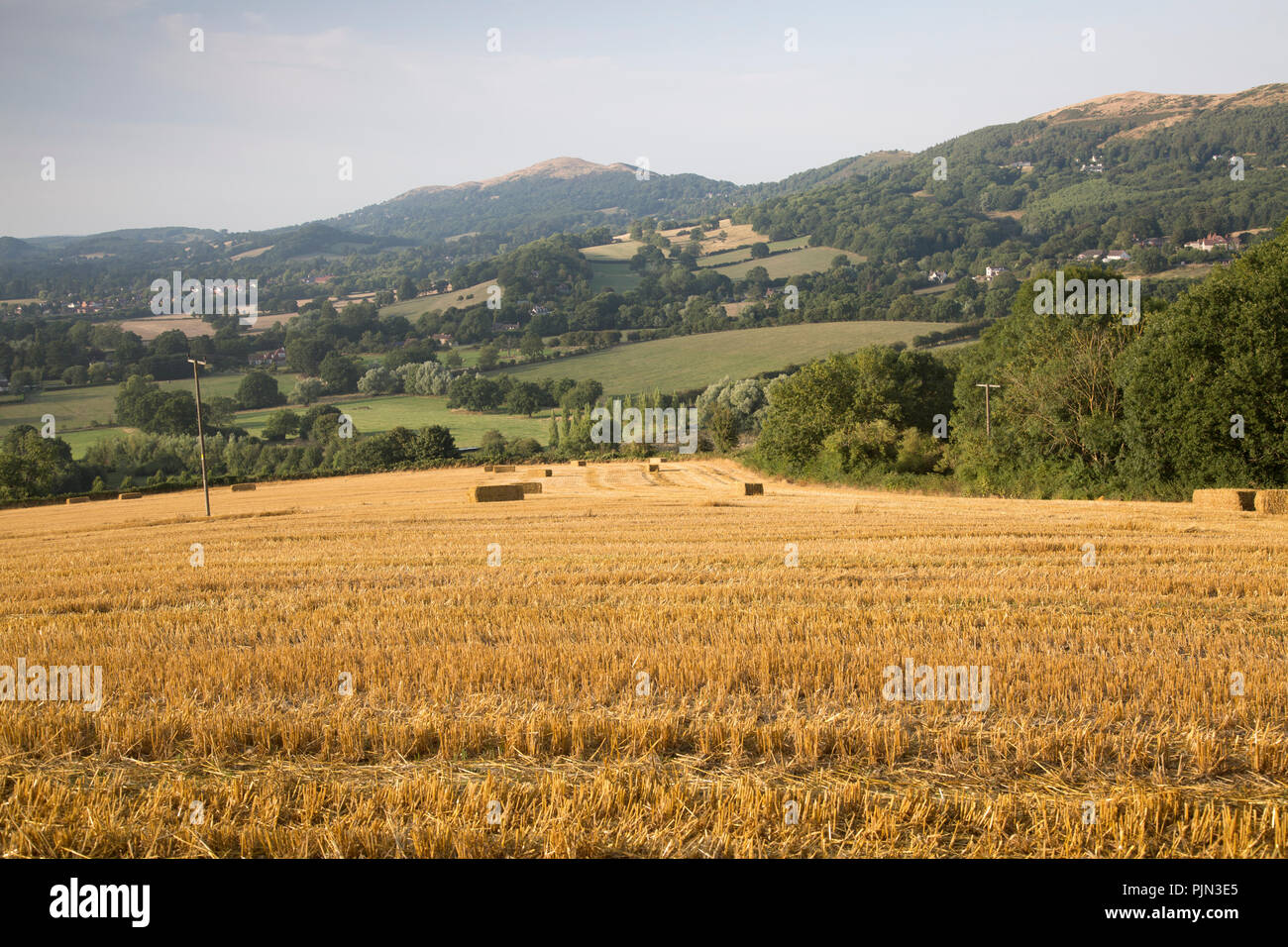 Corn Field in Malvern Hills, England; UK Stock Photo - Alamy