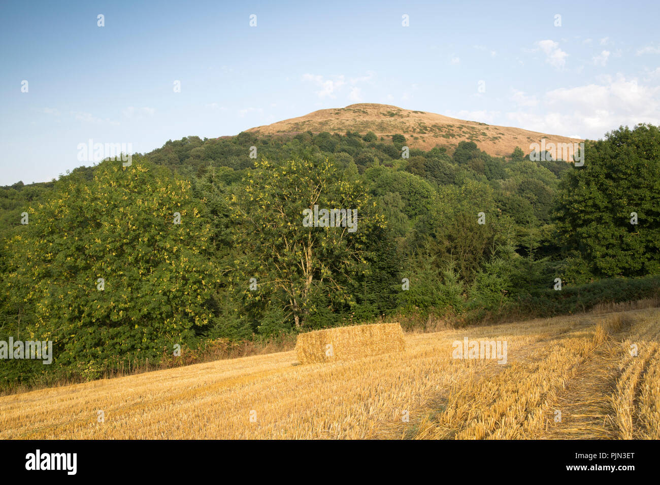 Field in Malvern Hills, England; UK Stock Photo - Alamy