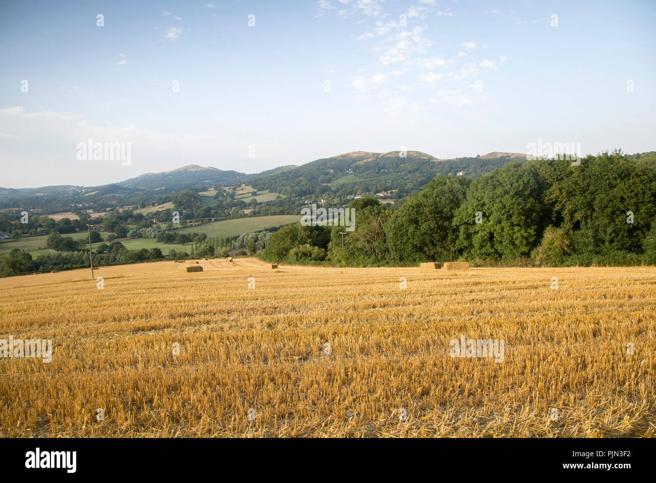 Corn Field, Malvern Hills, England; UK Stock Photo - Alamy