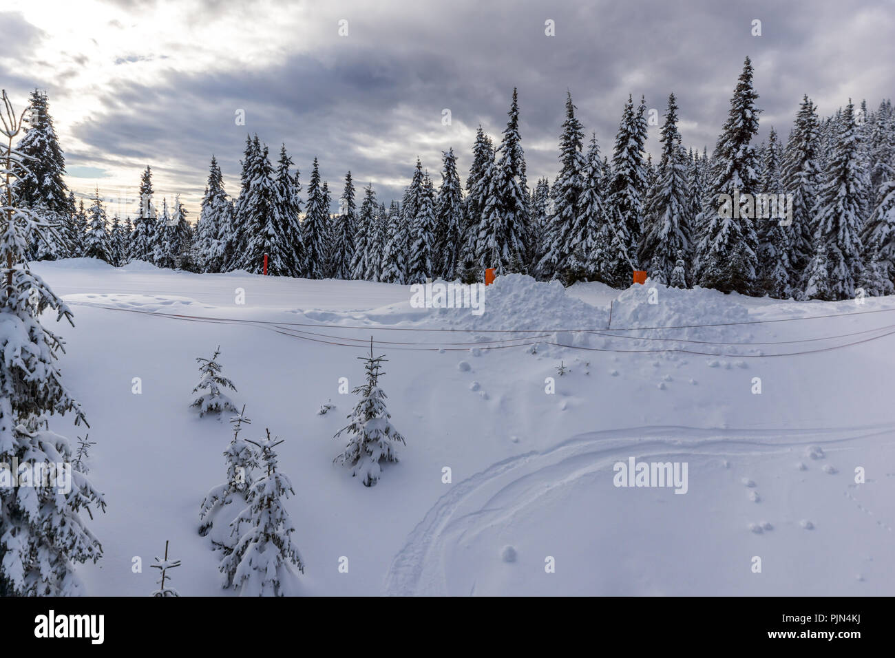 Amazing winter landscape of Rhodope Mountains near pamporovo resort ...