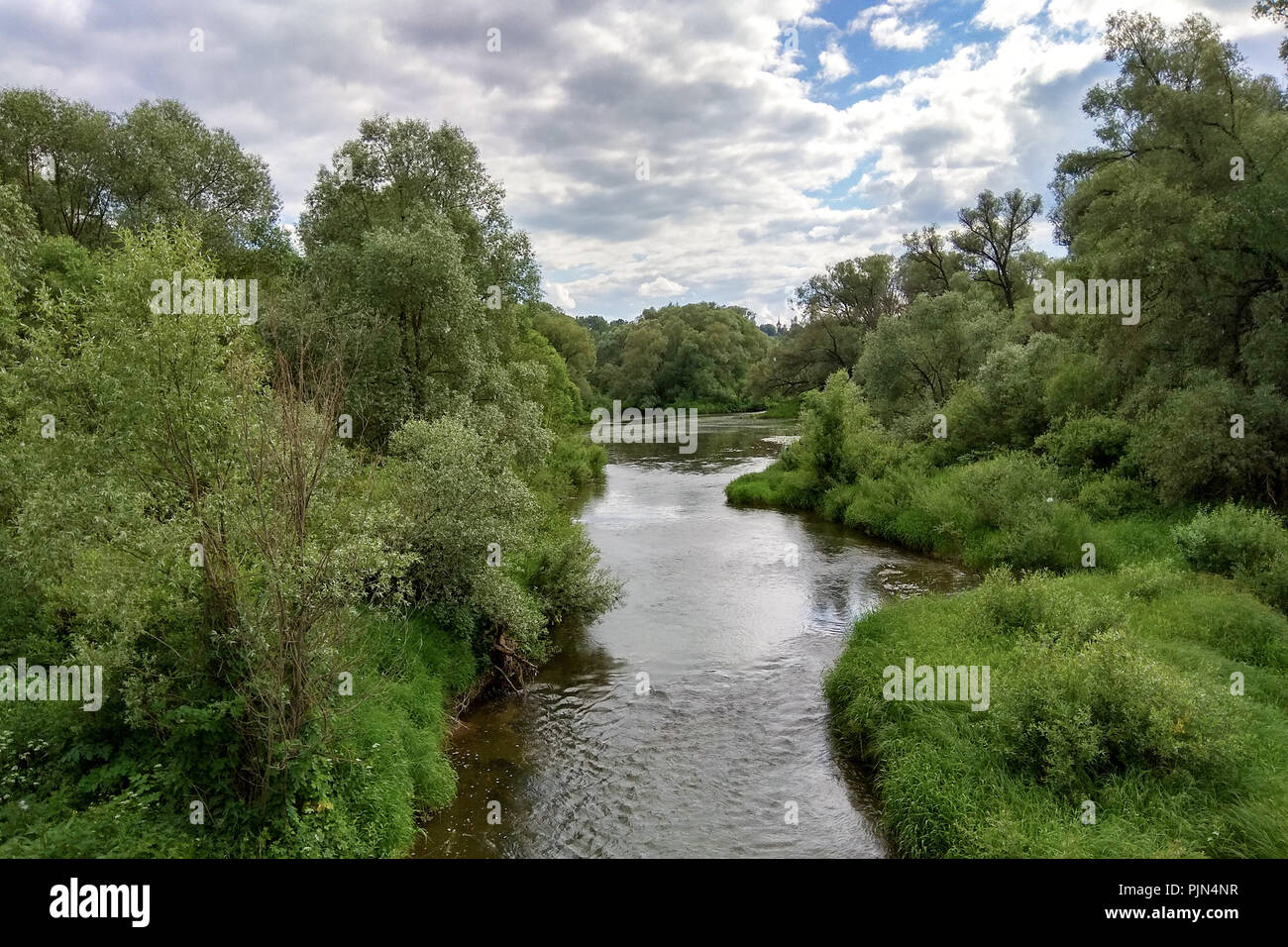 A small river flows in a small forest 2018 Stock Photo - Alamy