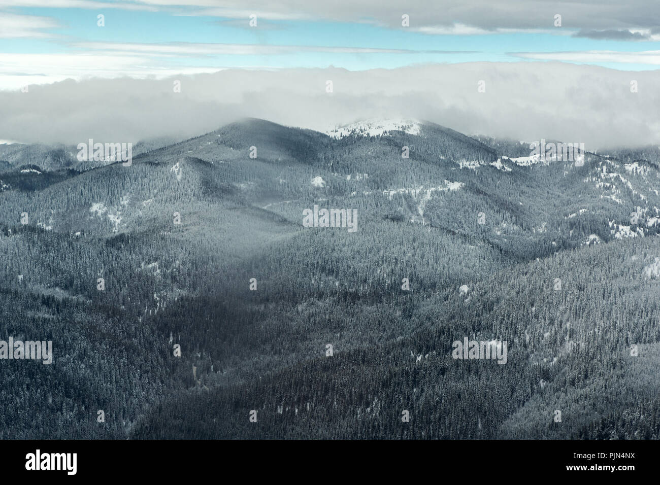 Amazing winter landscape of Rhodope Mountains near pamporovo resort ...