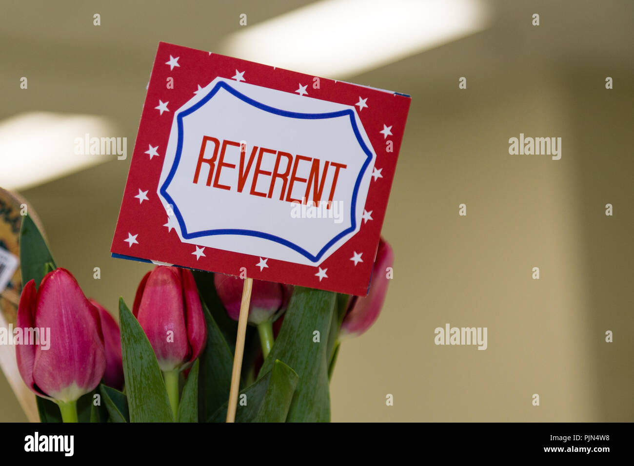 Scout is reverent small sign with flowers and space for text Stock ...
