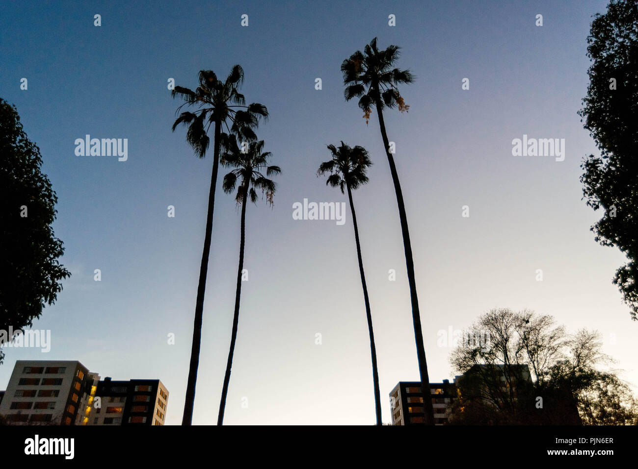 Hero Tree High Resolution Stock Photography and Images - Alamy