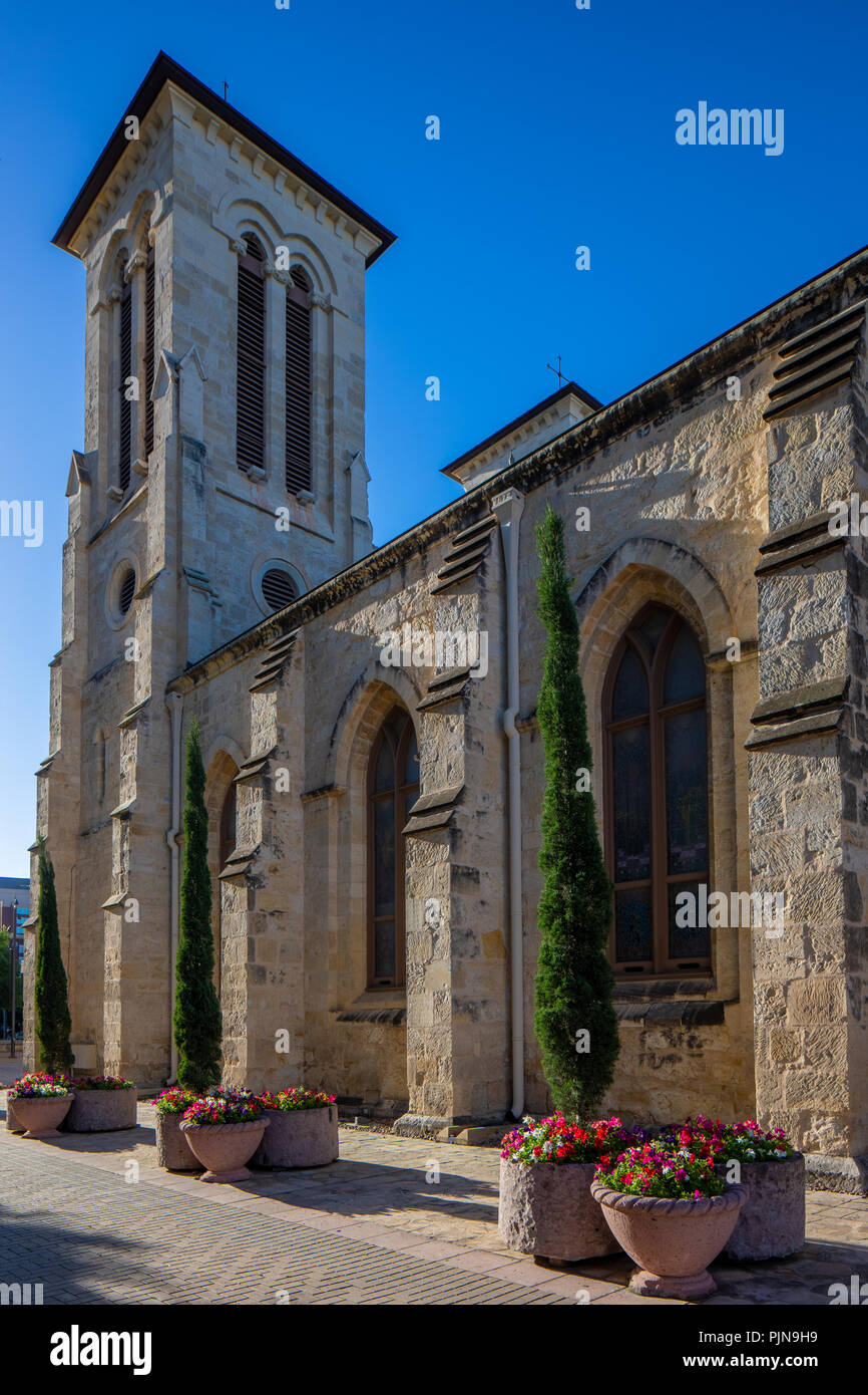 San Fernando Cathedral (Spanish: Catedral de San Fernando) in San ...