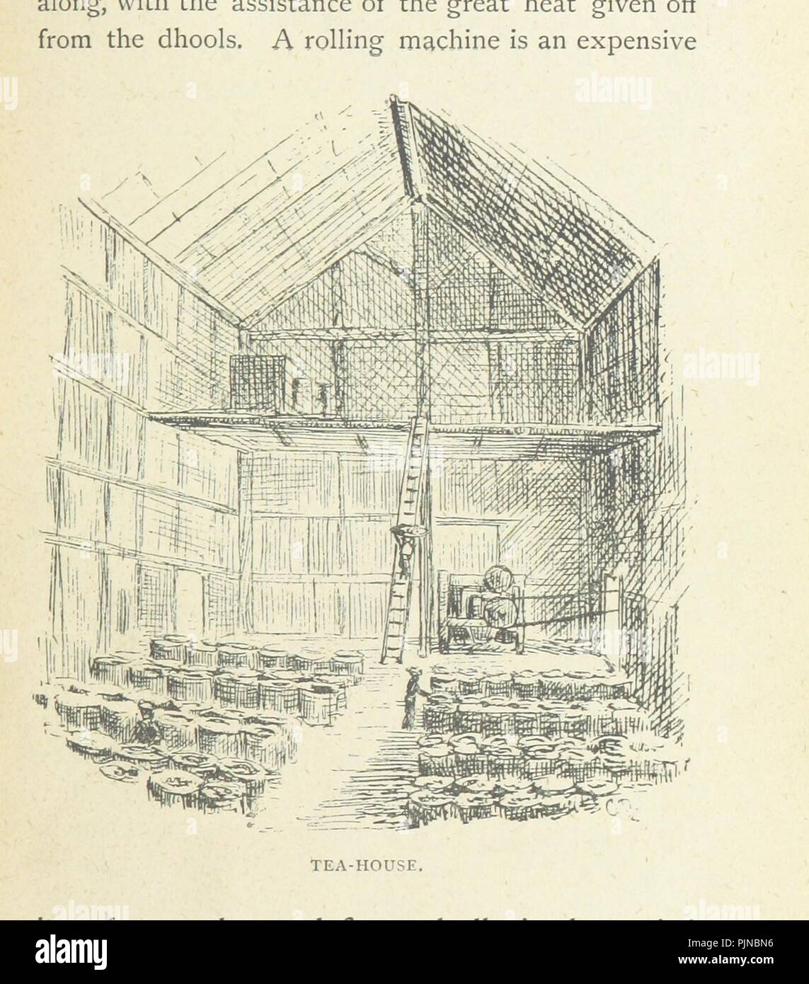 Image from page 155 of 'A Tea Planter's Life in Assam . With ...