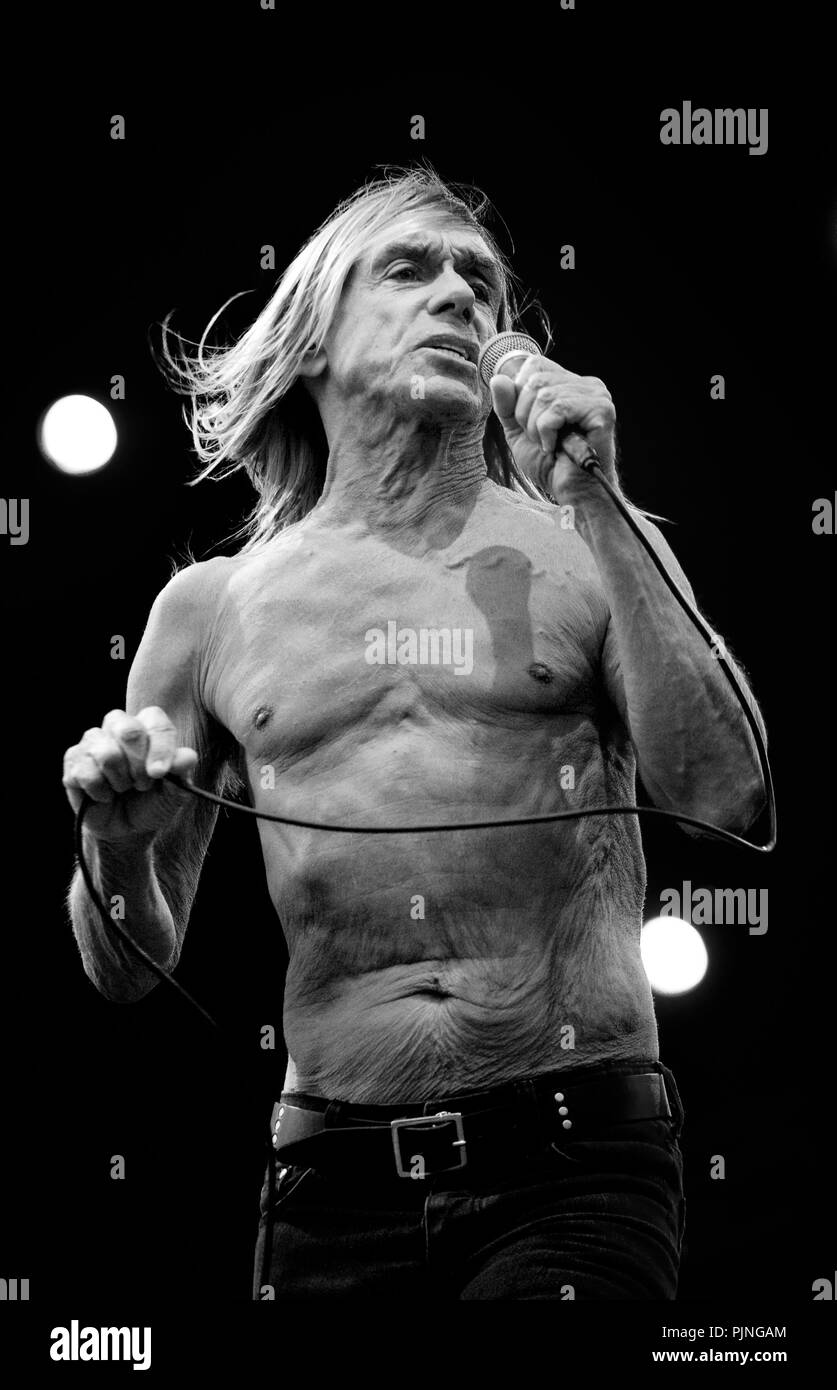 Iggy pop band iggy stooges hi-res stock photography and images - Alamy