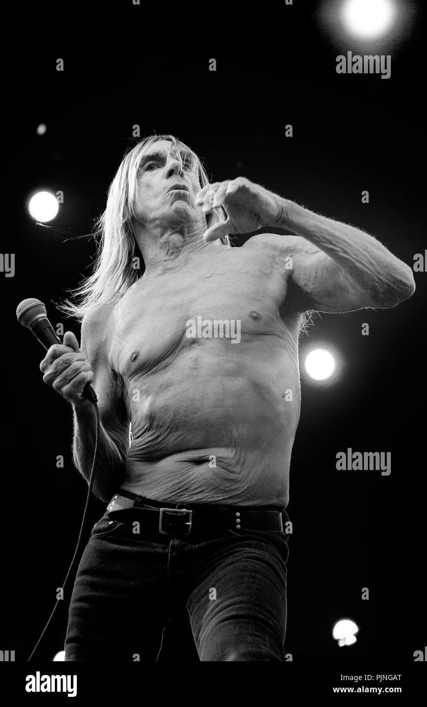 Iggy pop band Black and White Stock Photos & Images - Alamy