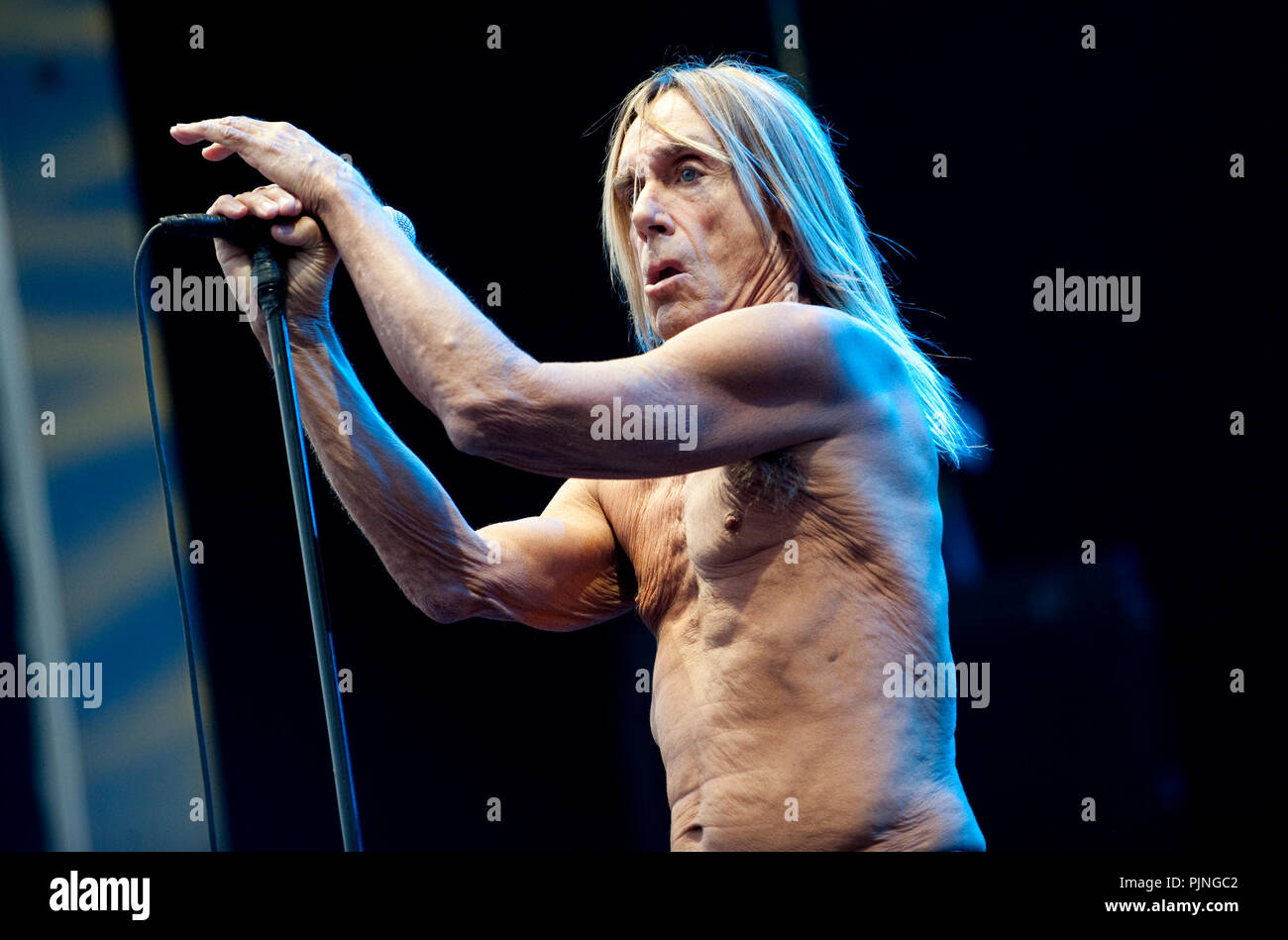 Iggy & the stooges hi-res stock photography and images - Alamy