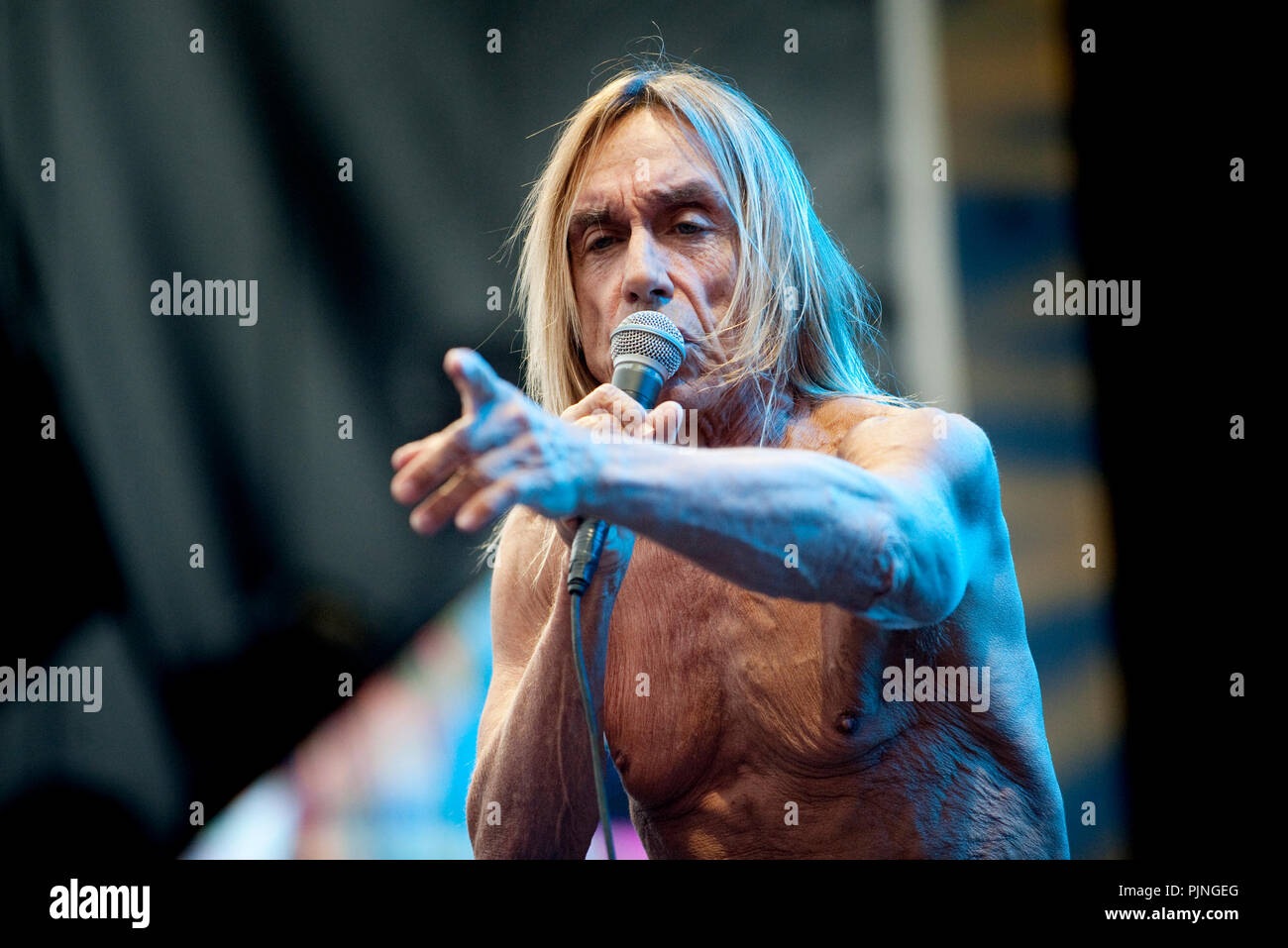 Iggy pop band hi-res stock photography and images - Alamy
