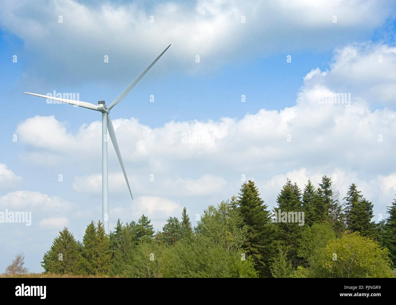 wind turbine farm in forest Stock Photo - Alamy