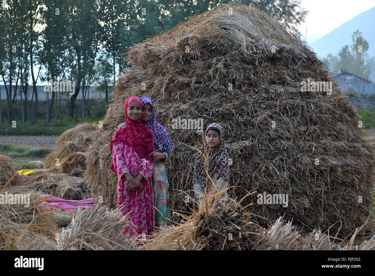 Kashmiri girls hi-res stock photography and images - Alamy