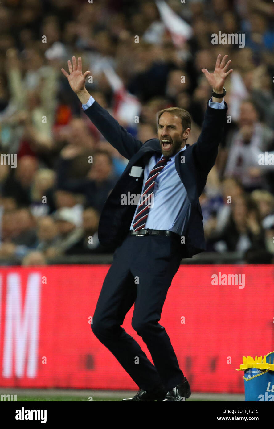 Gareth Southgate (England coach) celebrates the England goal scored in ...