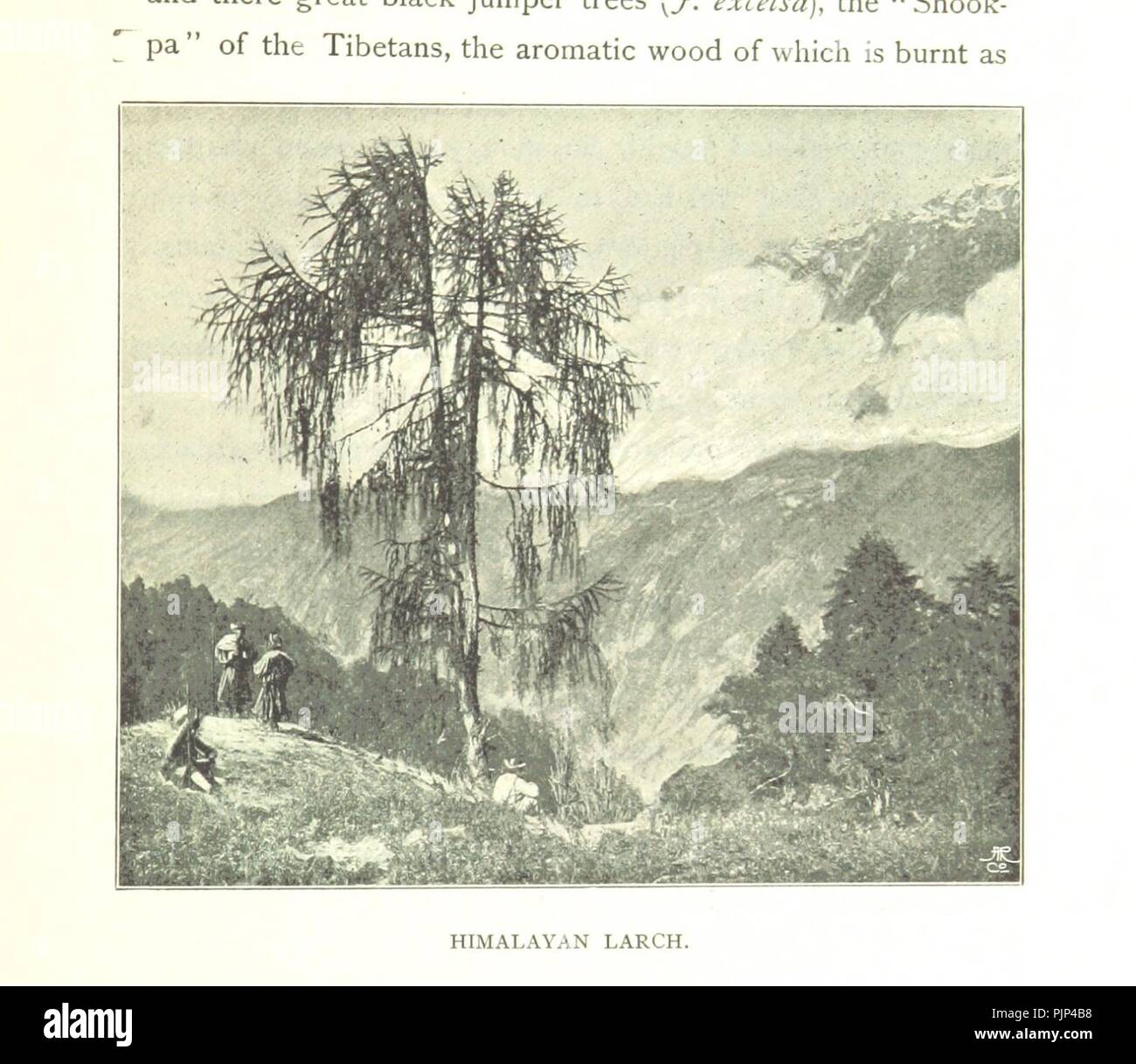 Image from page 203 of 'Among the Himalayas . With numerous ...