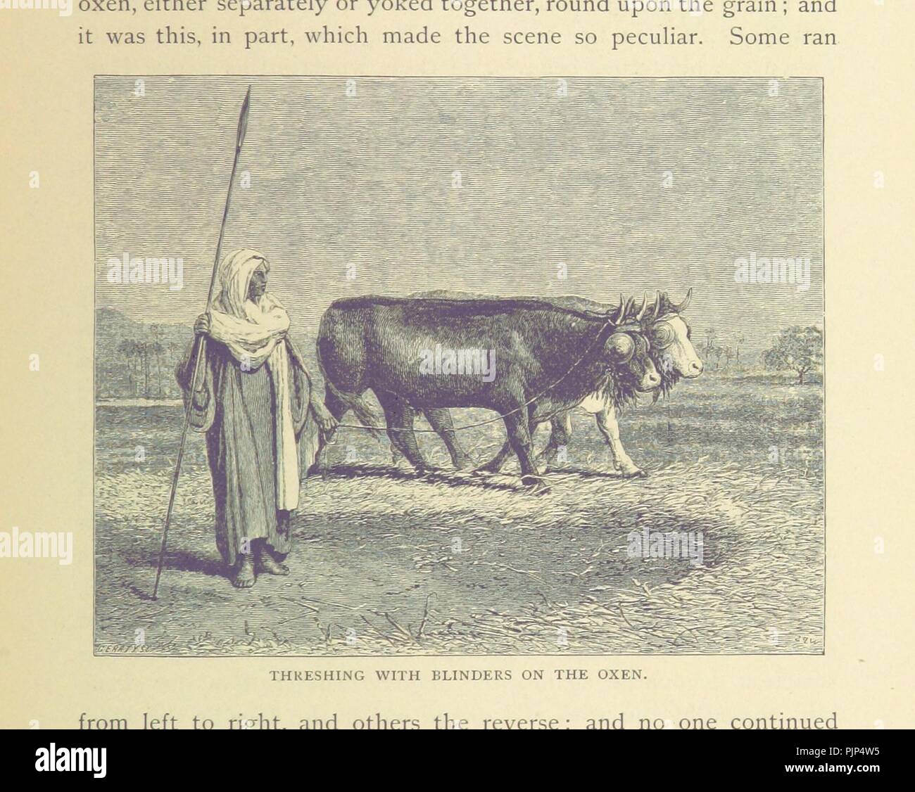 Image from page 207 of '[The Land and the Book; or, Biblical ...