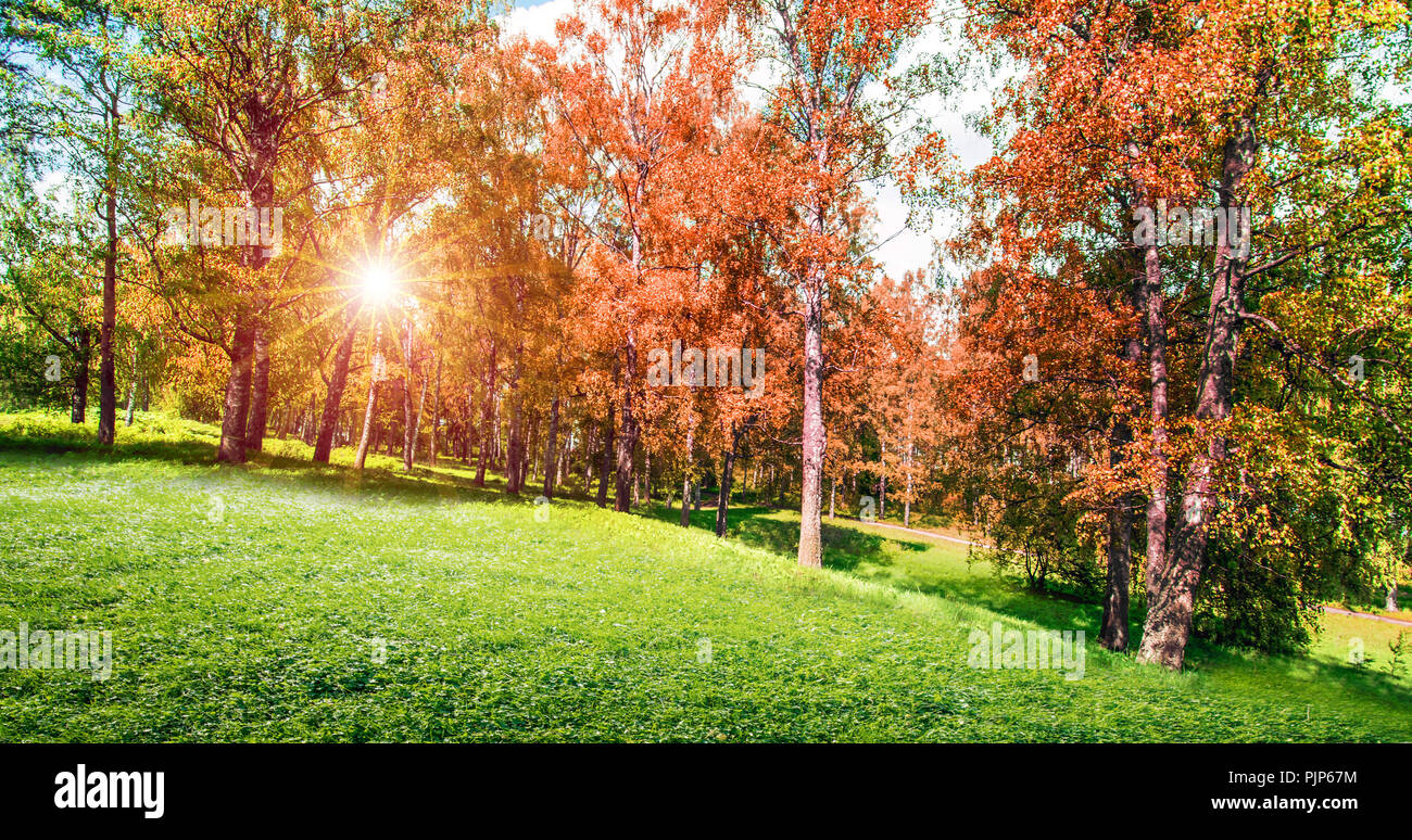 Beautiful autumn landscape background hi-res stock photography and ...