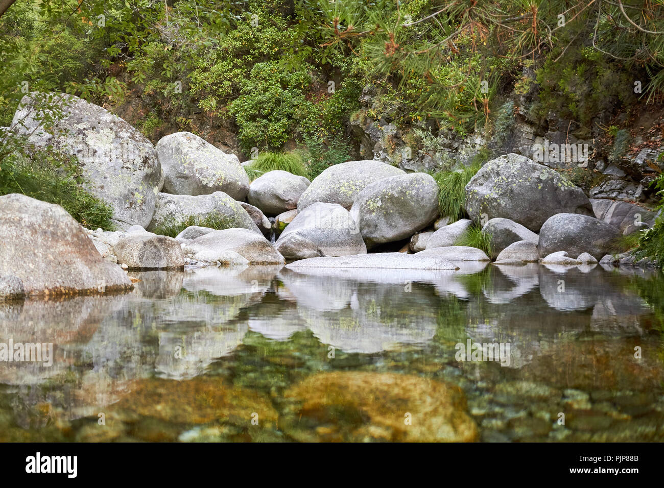 Transparent river hi-res stock photography and images - Alamy